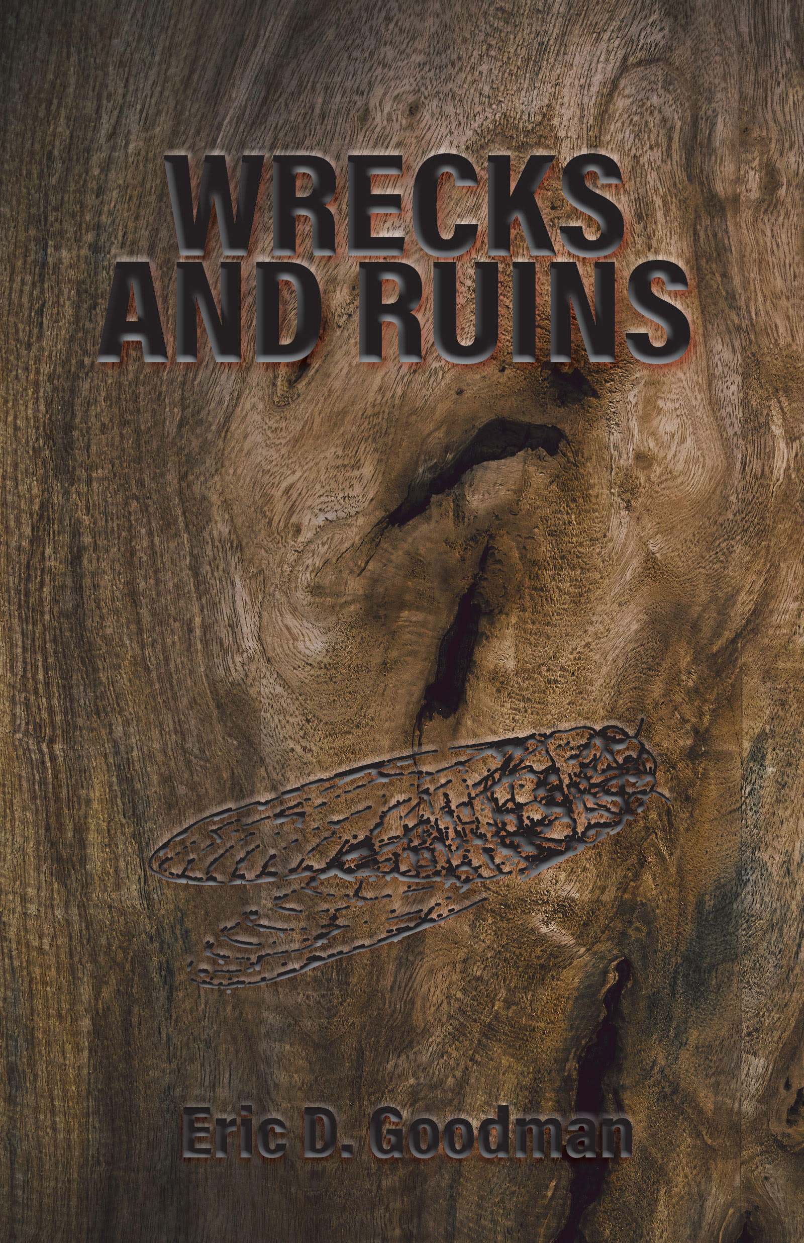 Wrecks and Ruins by Eric D. Goodman | Goodreads