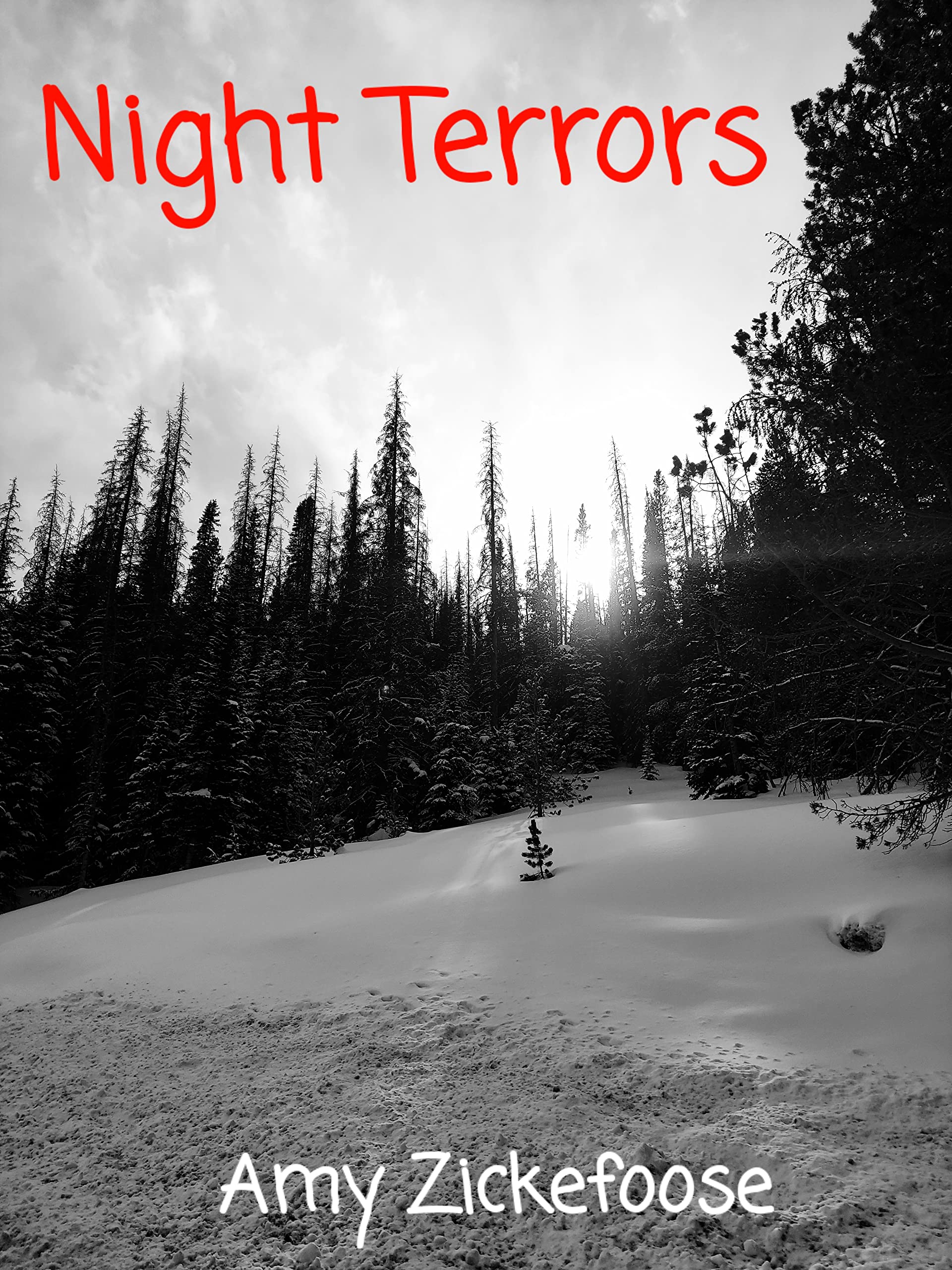Night Terrors (Delaney Jameson Series Book 1) by Amy Zickefoose | Goodreads