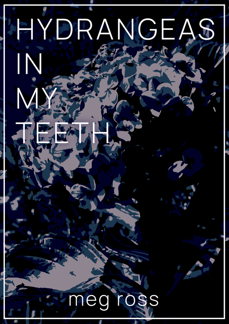 HYDRANGEAS IN MY TEETH by Meg Ross | Goodreads