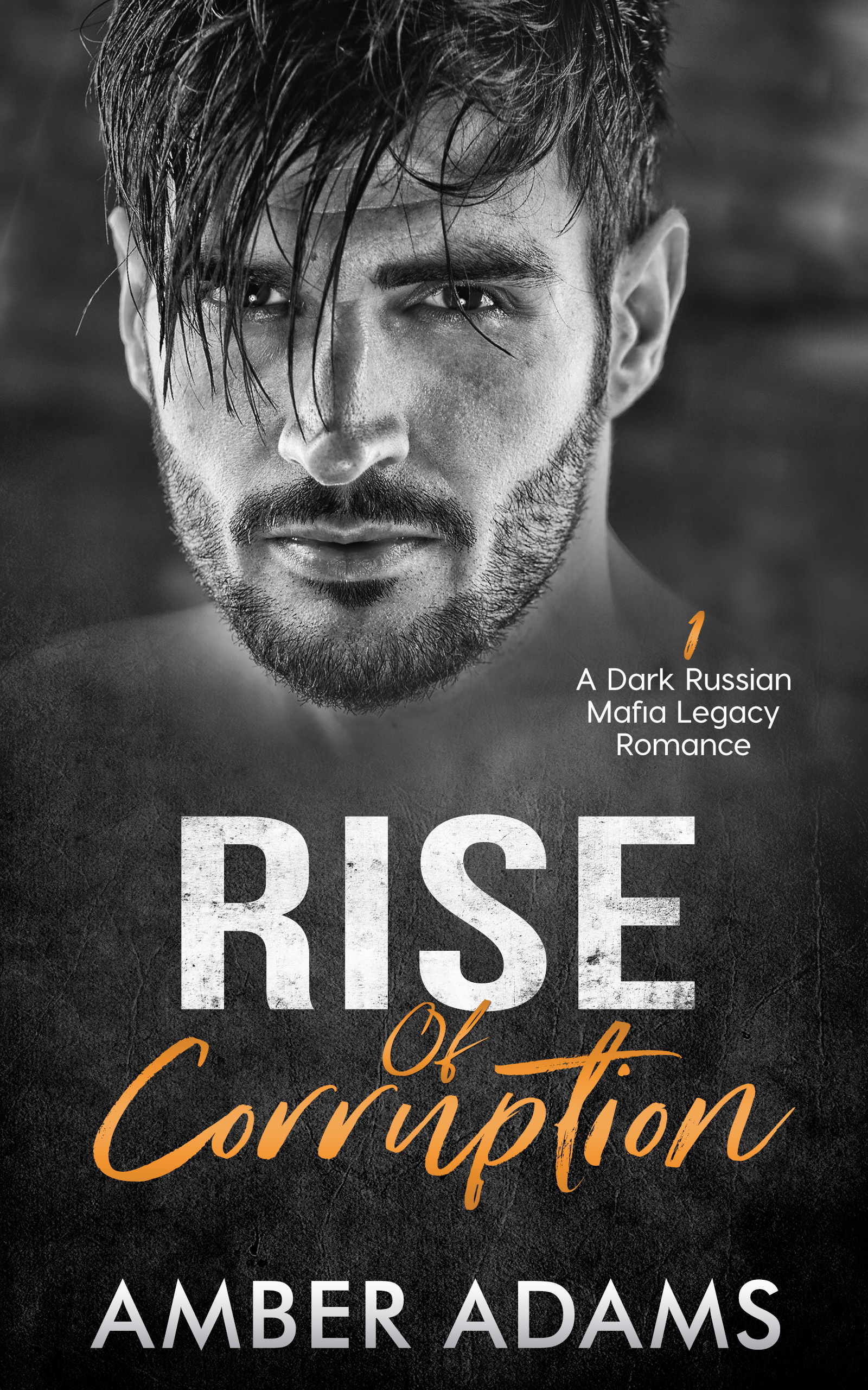 Rise of Corruption 1 by Amber Adams | Goodreads