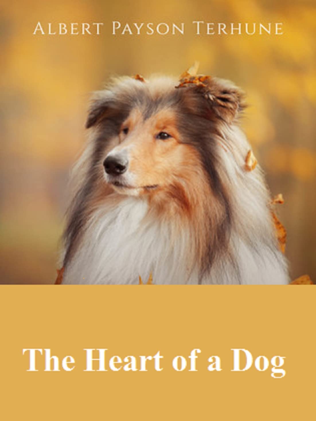 The Heart of a Dog ( Illustrated ) by Albert Payson Terhune | Goodreads