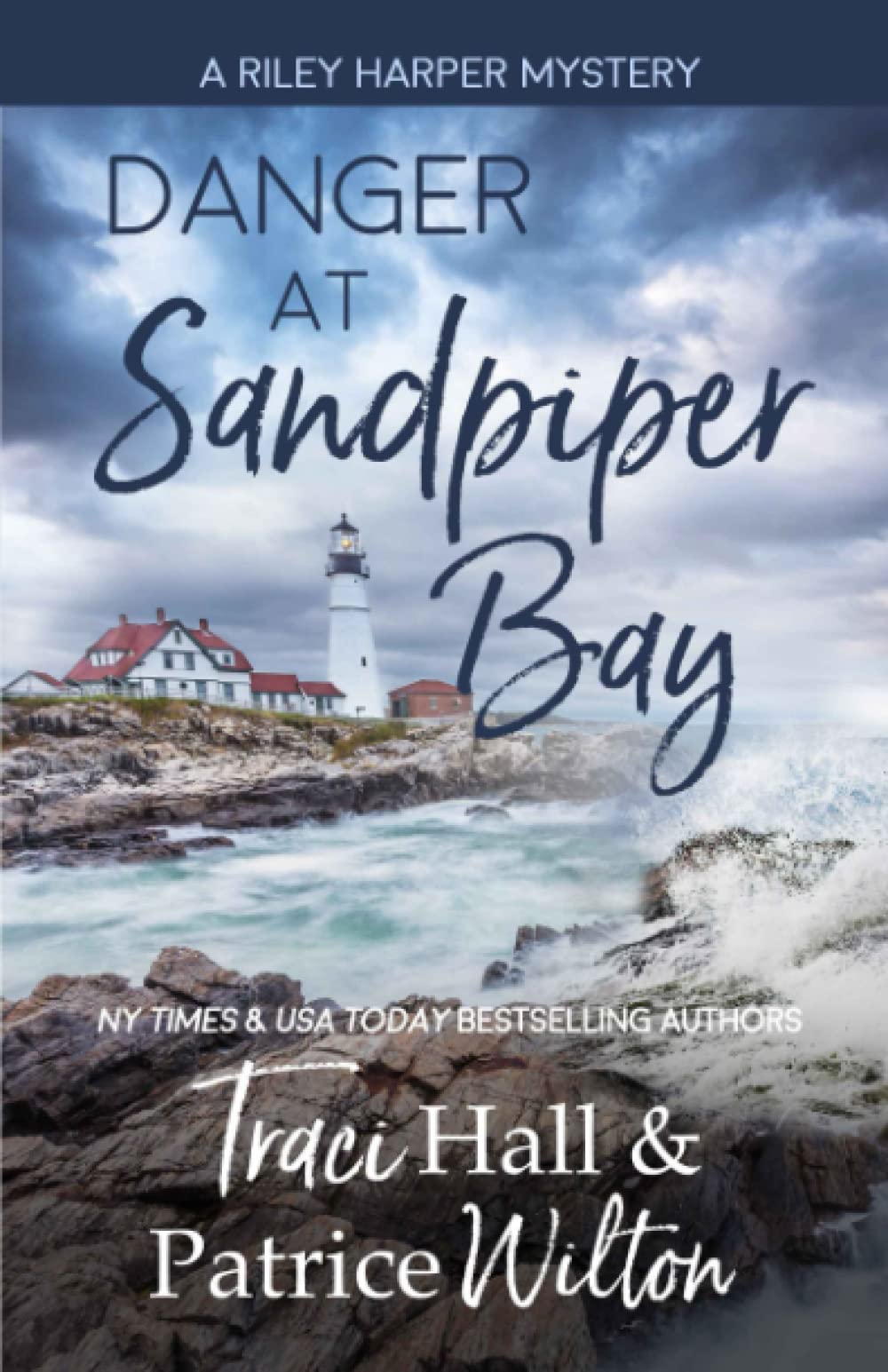 Danger at Sandpiper Bay (A Riley Harper Mystery 1) by Patrice Wilton | Goodreads
