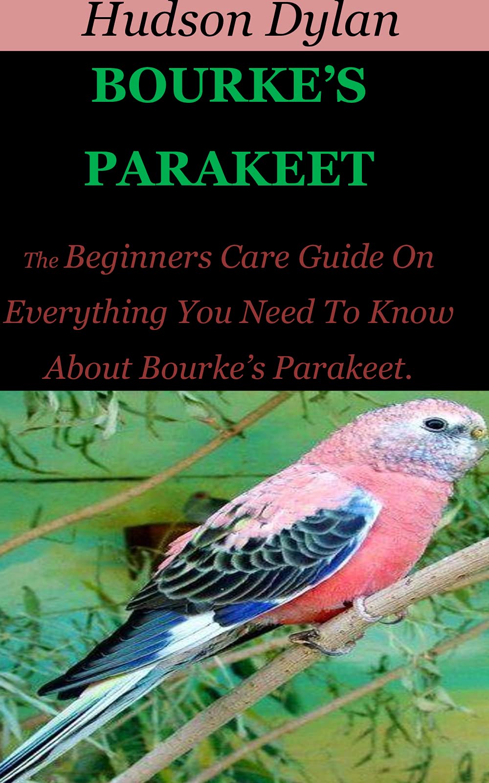 BOURKE’S PARAKEET: The Beginners Care Guide On Everything You Need To Know About Bourke’s ...