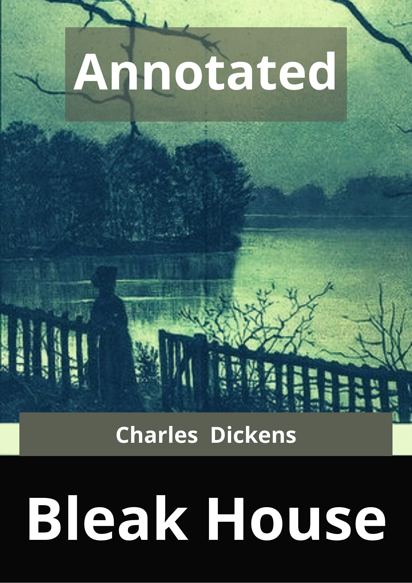 Bleak House: Charles Dickens (Fiction novel story Detective Play ...