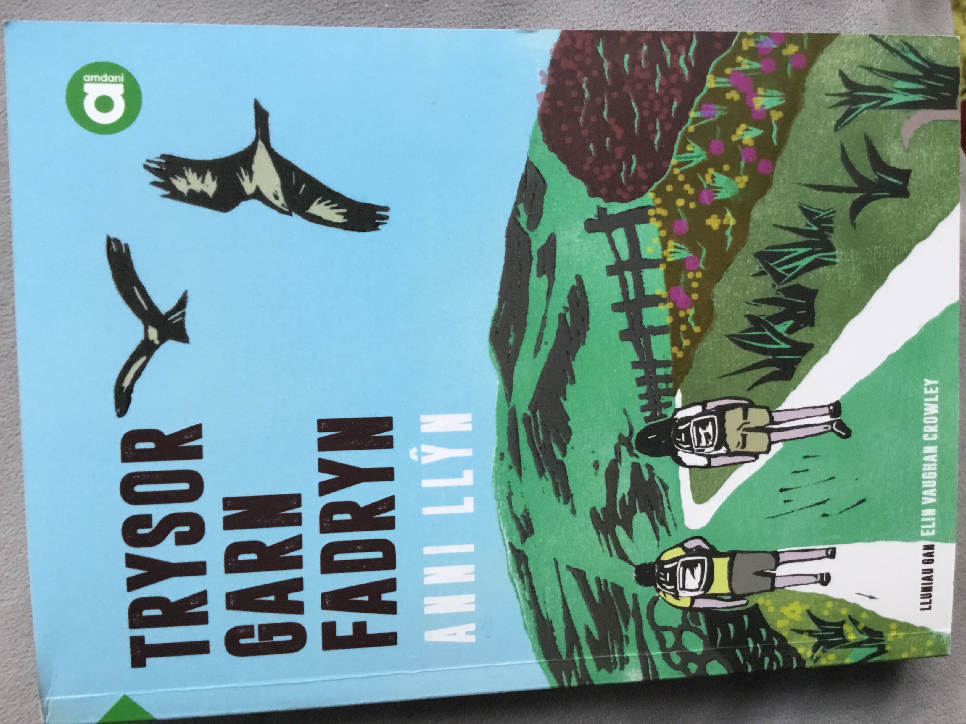 Trysor Garn Fadryn by Anni Llŷn | Goodreads