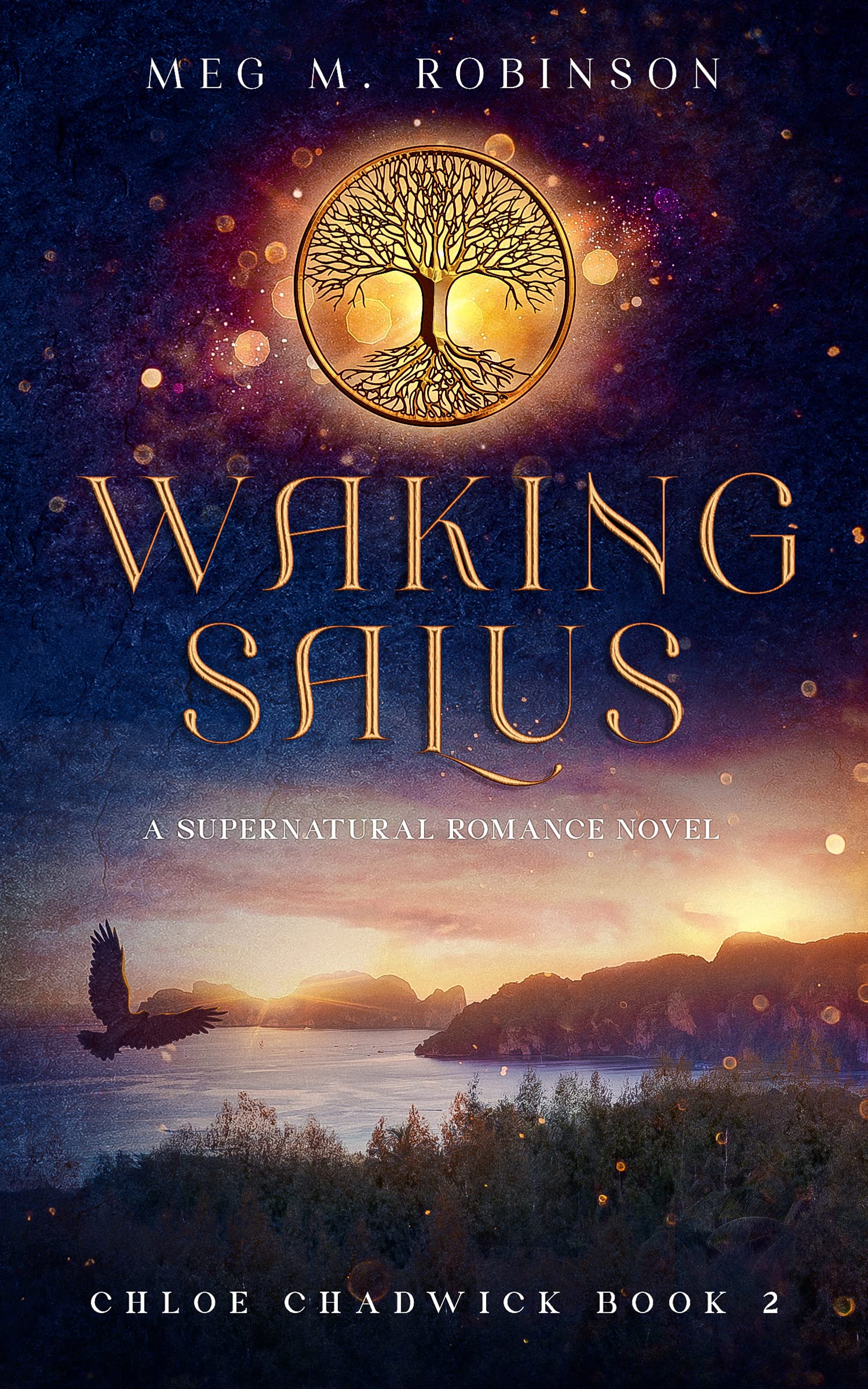 Waking Salus (Chloe Chadwick #2) by Meg M. Robinson | Goodreads