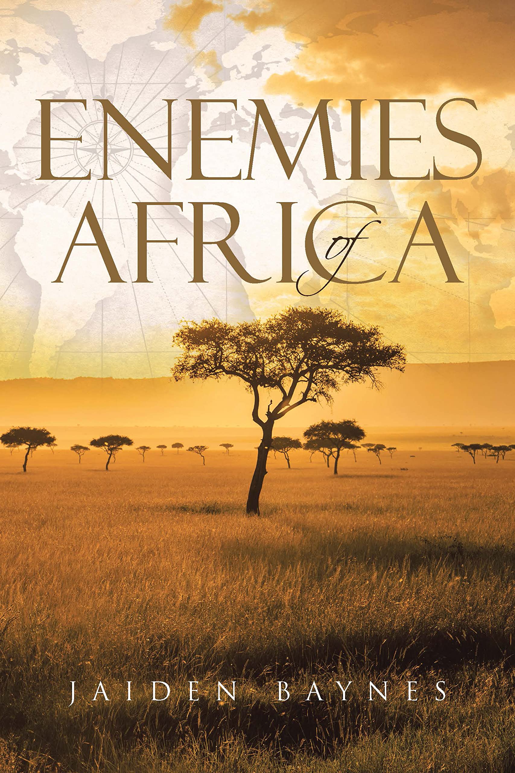 Enemies of Africa by Jaiden Baynes | Goodreads