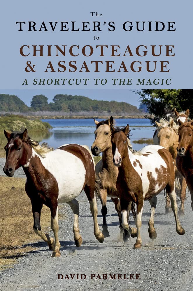 The Traveler's Guide to Chincoteague and Assateague: A Shortcut to the ...