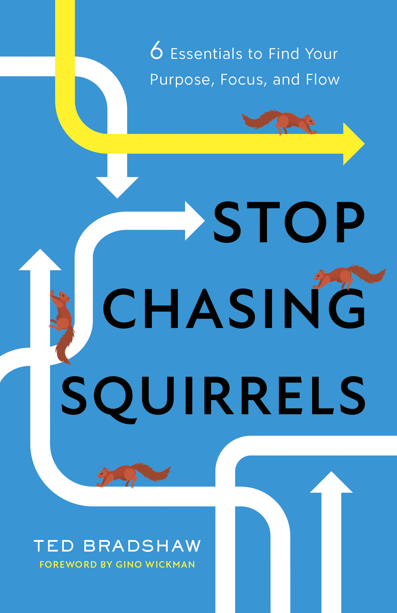 Stop Chasing Squirrels: 6 Essentials to Find Your Purpose, Focus, and Flow by Ted Bradshaw ...