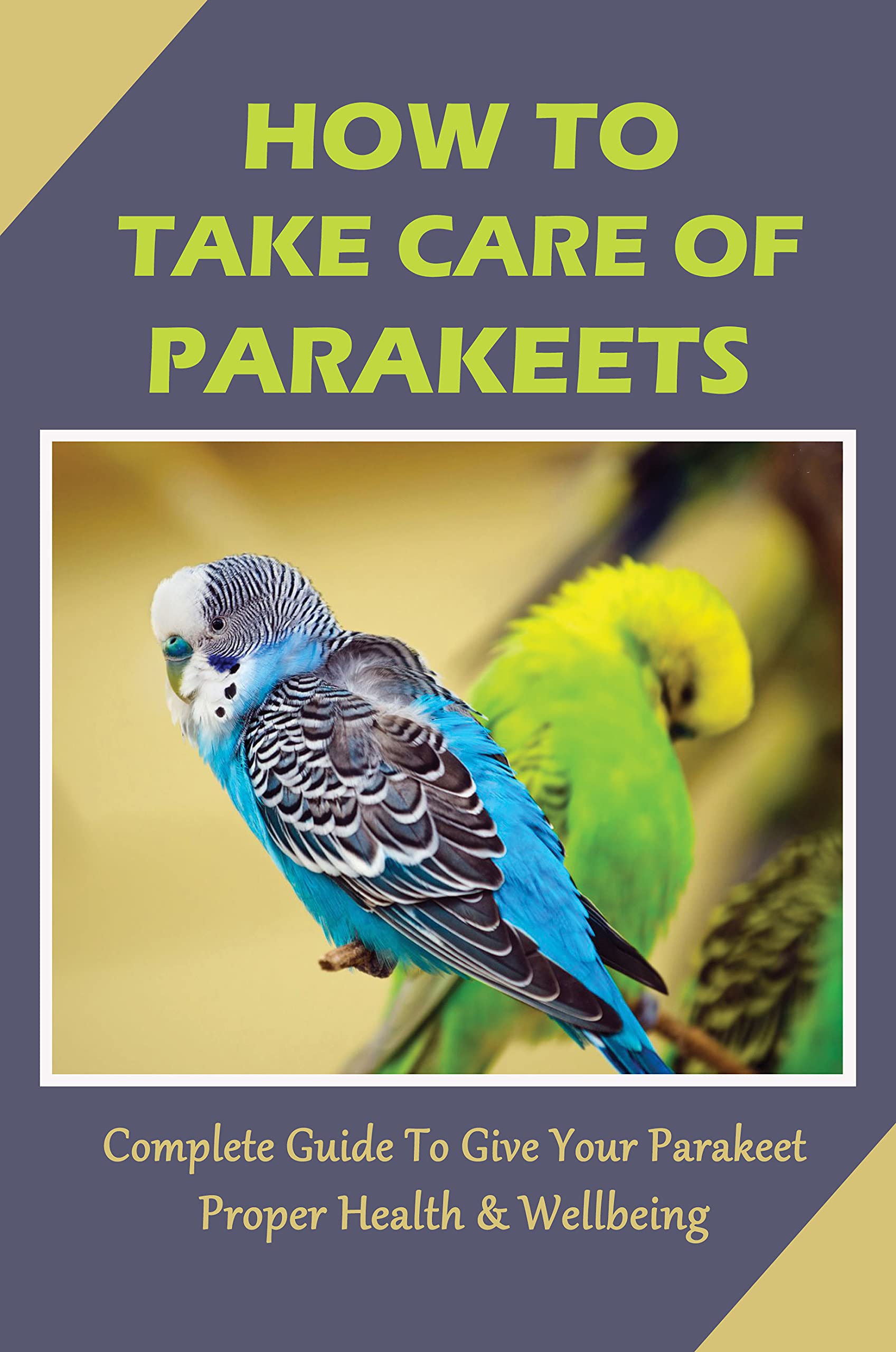 How To Take Care Of Parakeets: Complete Guide To Give Your Parakeet ...
