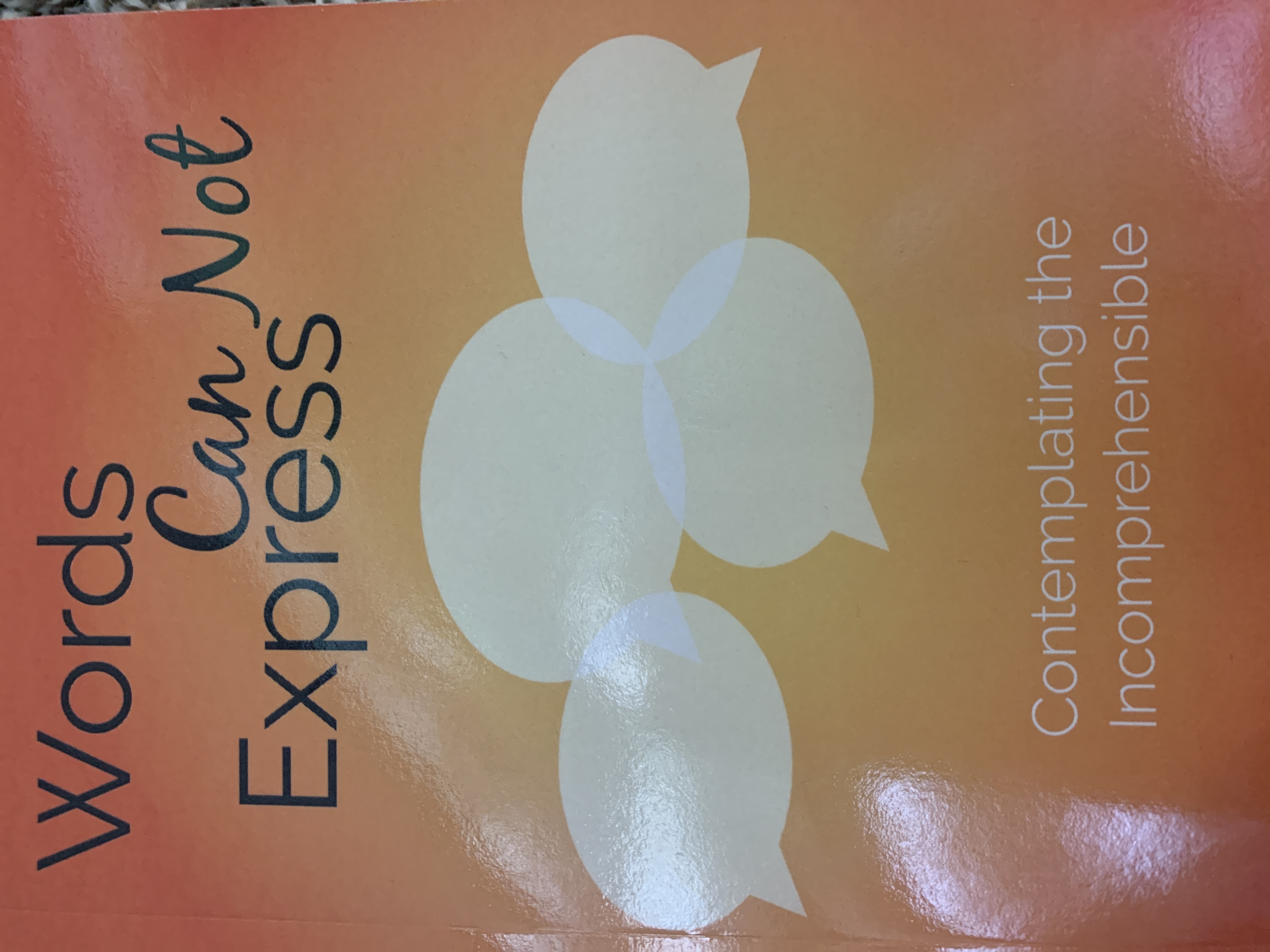 Words Can Not Express: Contemplating the Incomprehensible by Andrew ...