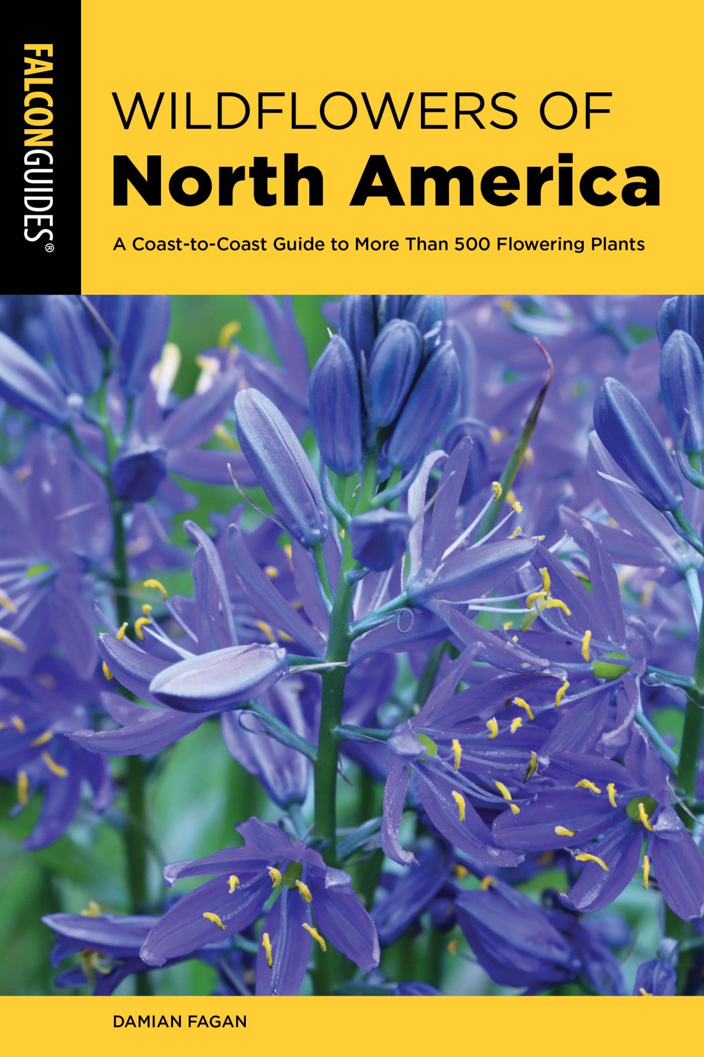 Wildflowers of North America: A Coast-to-Coast Guide to More than 500 ...