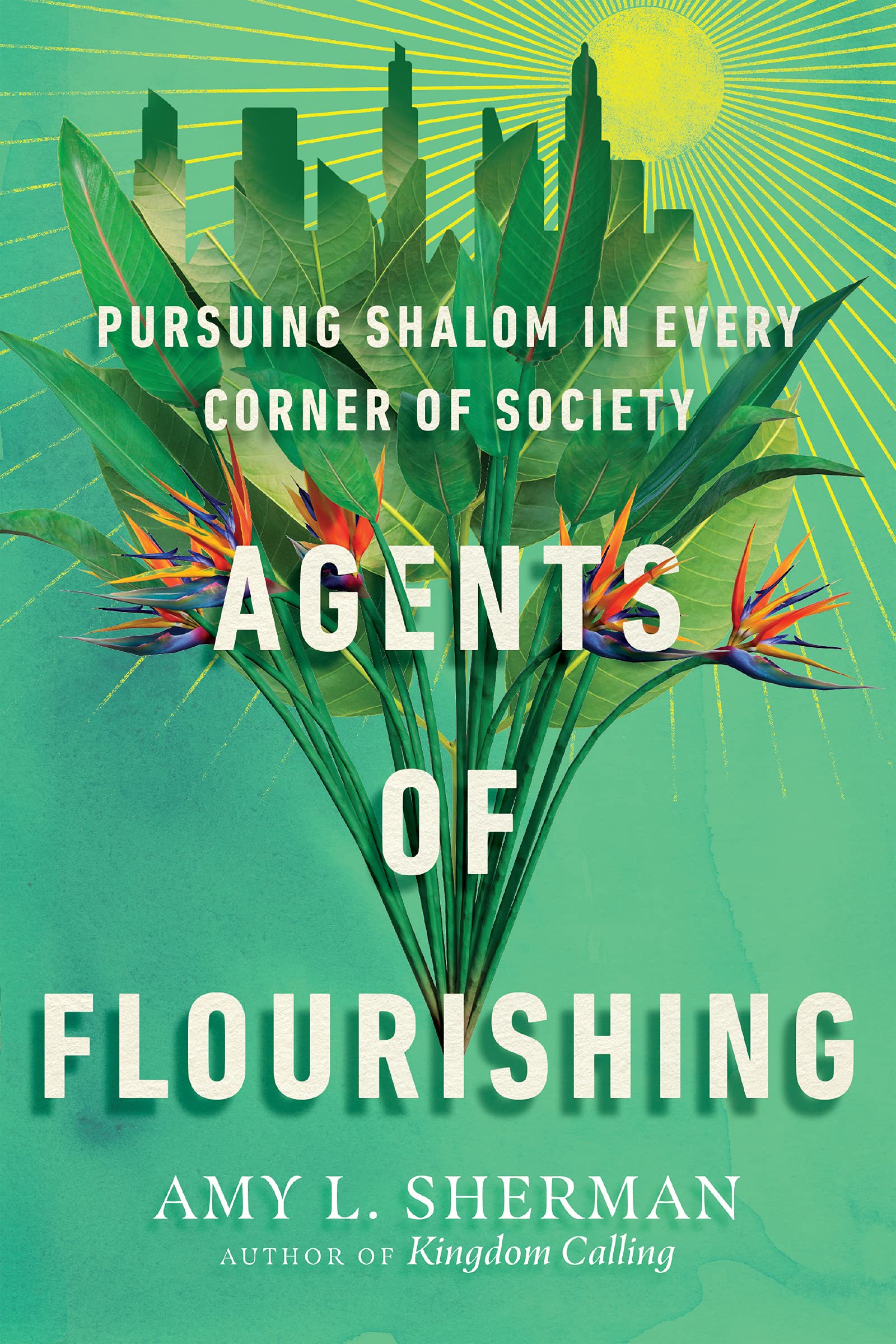 Agents of Flourishing: Pursuing Shalom in Every Corner of Society by ...