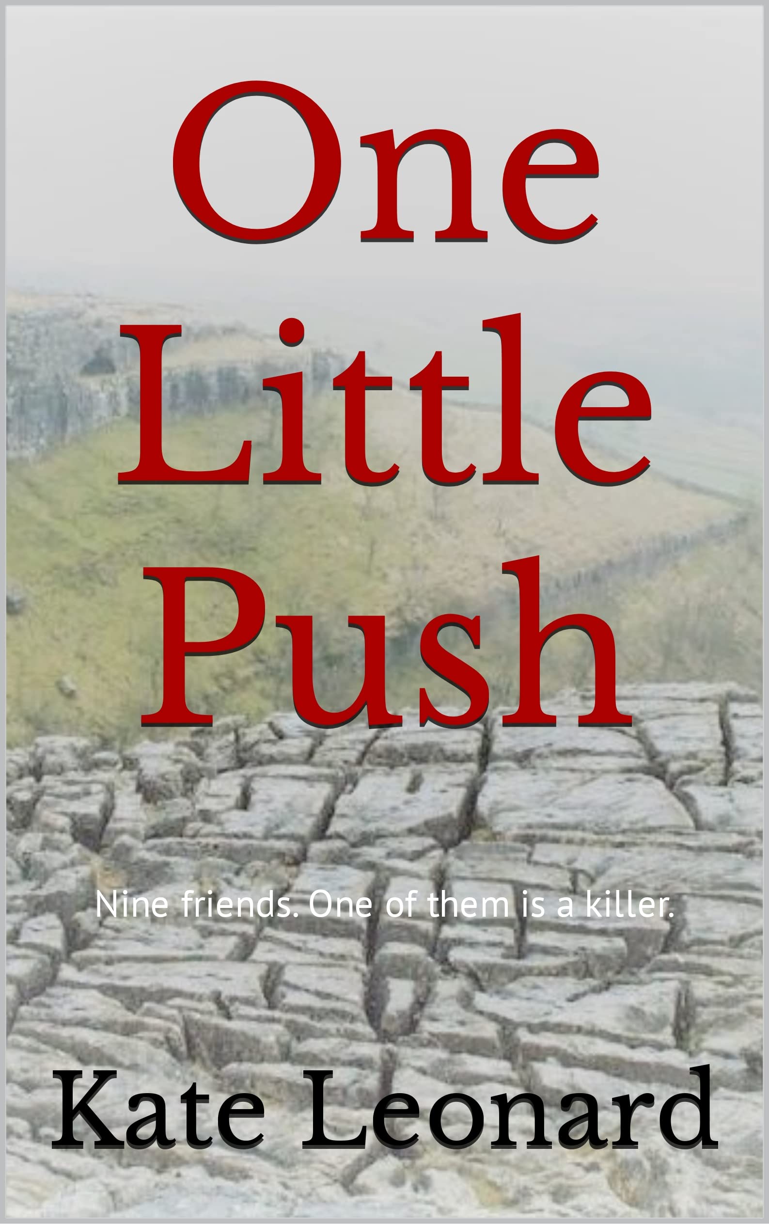 One Little Push: A tense psychological thriller that twists and turns ...