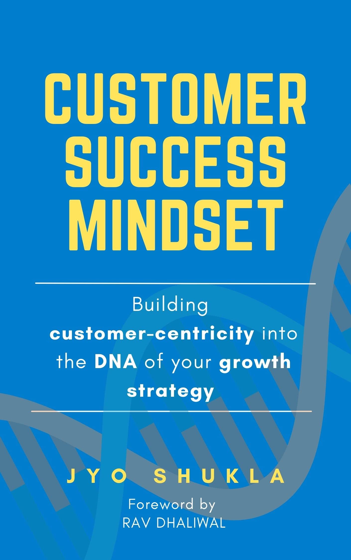 Customer Success Mindset: Building Customer-Centricity into the DNA of ...