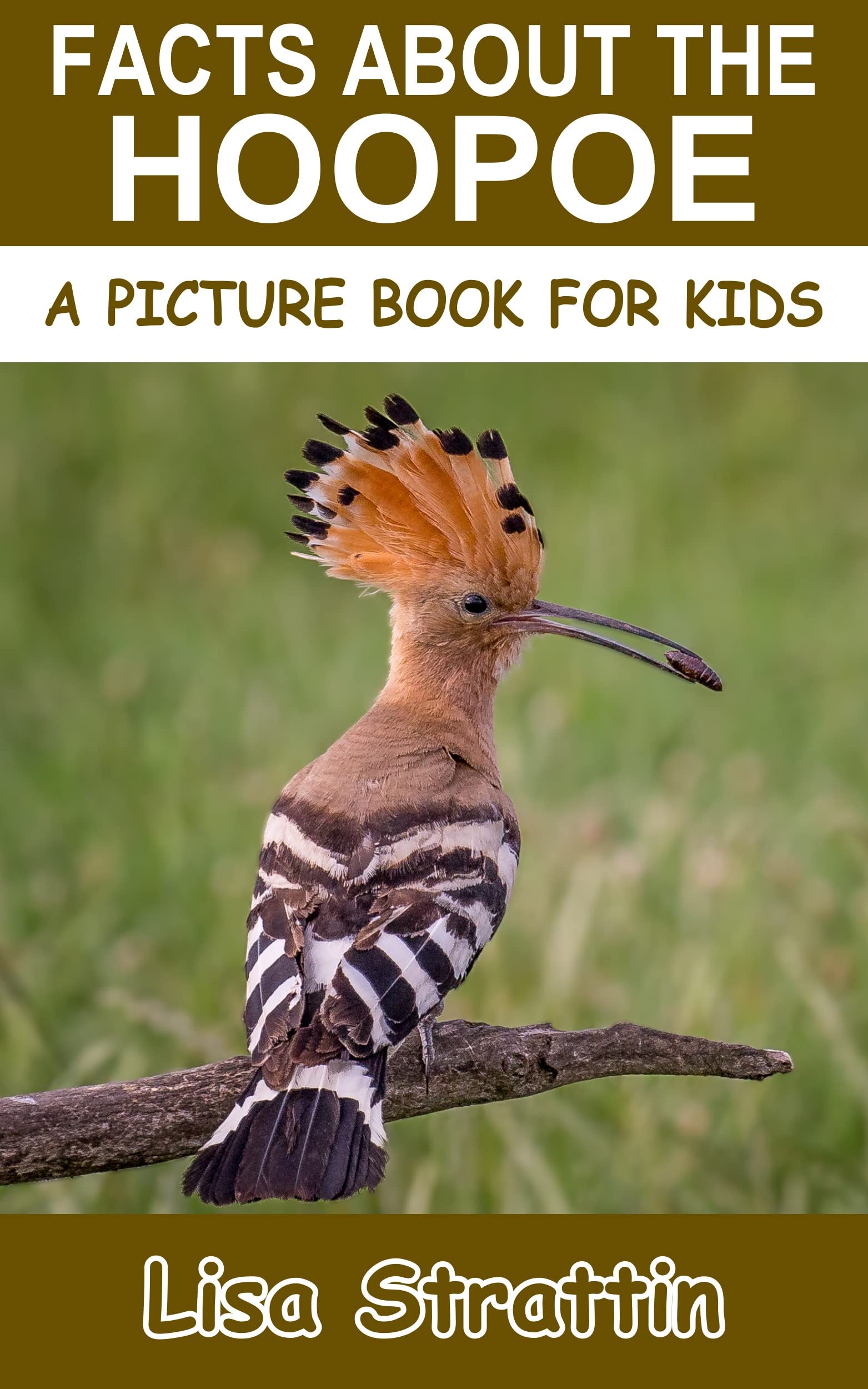 Facts About the Hoopoe (A Picture Book For Kids 464) by Lisa Strattin ...
