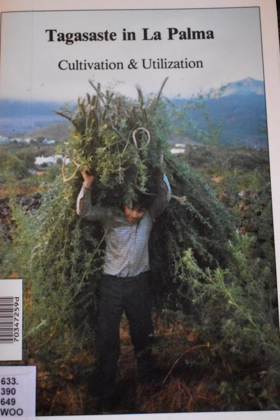 Tagasaste in La Palma: Cultivation & Utilization by Michael Wood ...