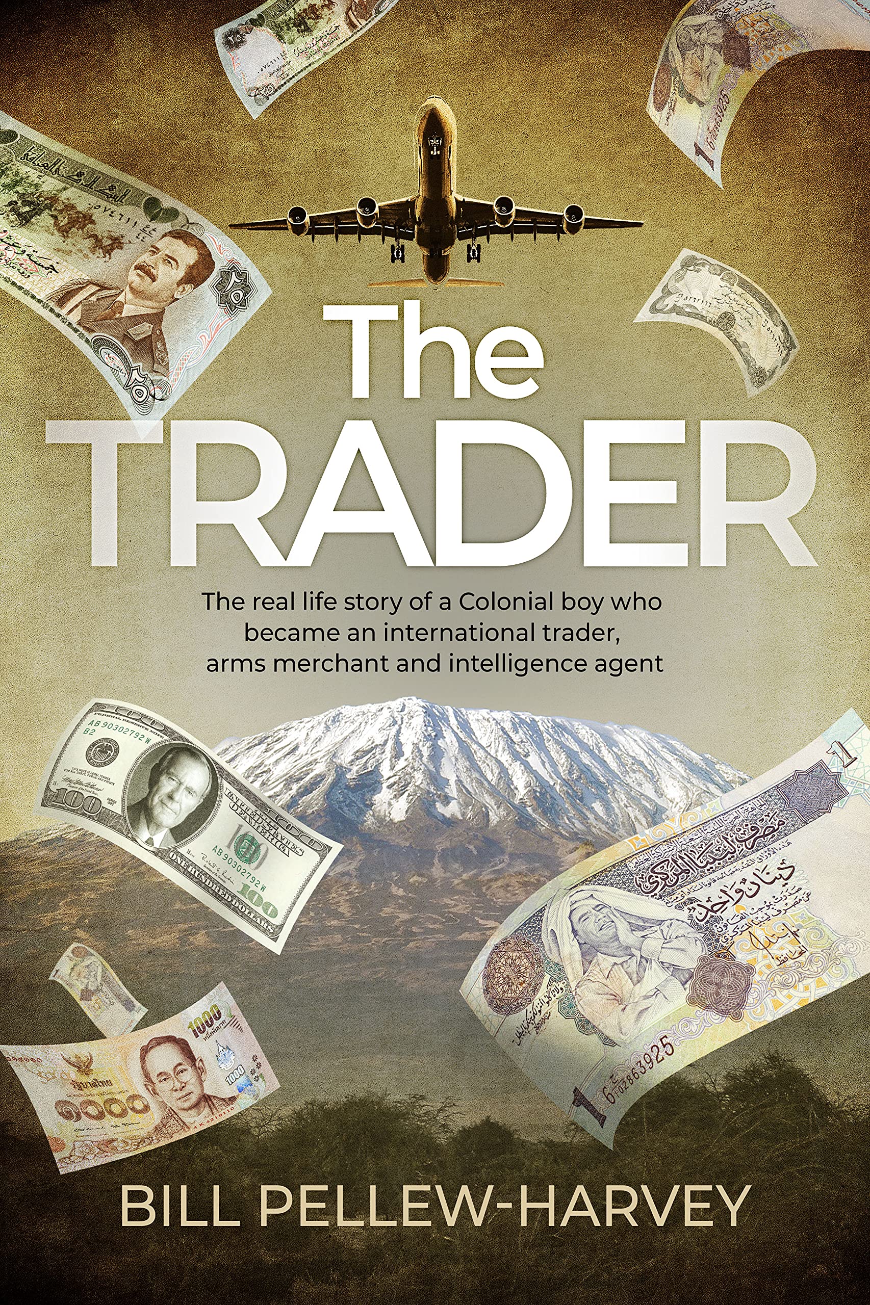 The Trader: The real life story of a colonial boy who became an ...