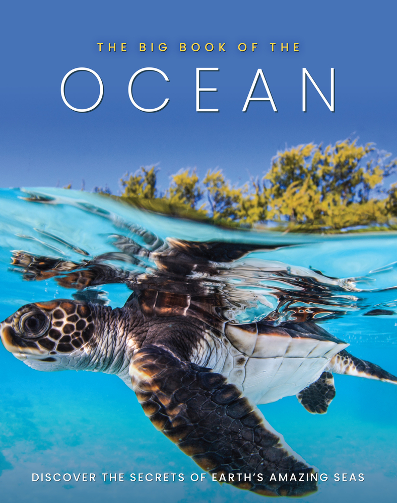 The Big Book of the Ocean: Discover the secrets of the earth's amazing ...