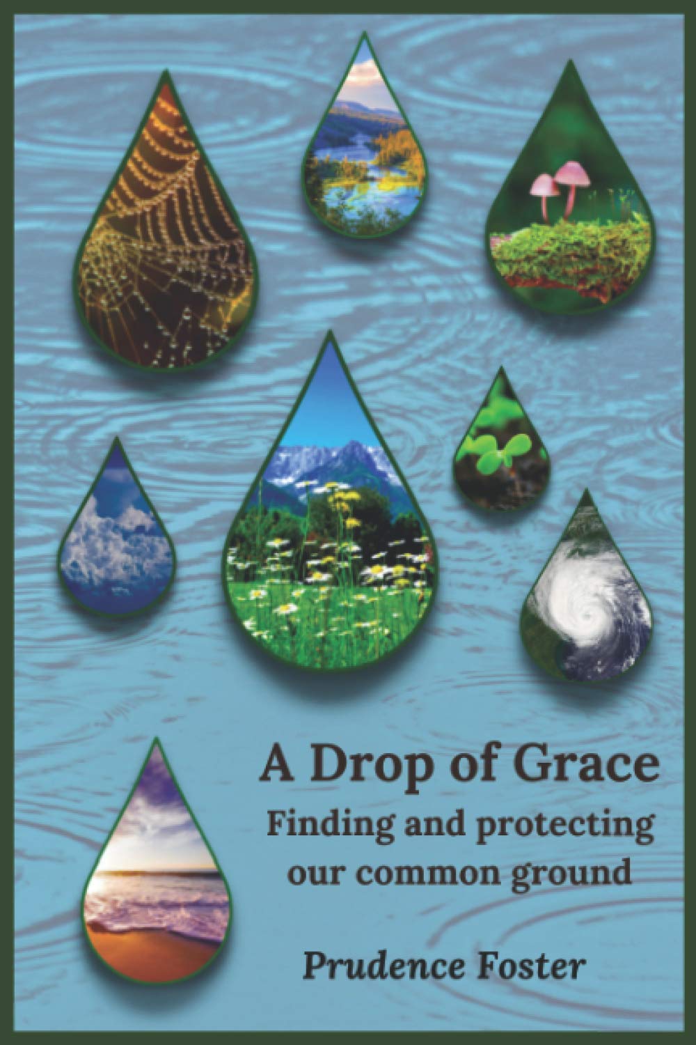 A Drop of Grace: Finding and Protecting Our Common Ground by Prudence ...