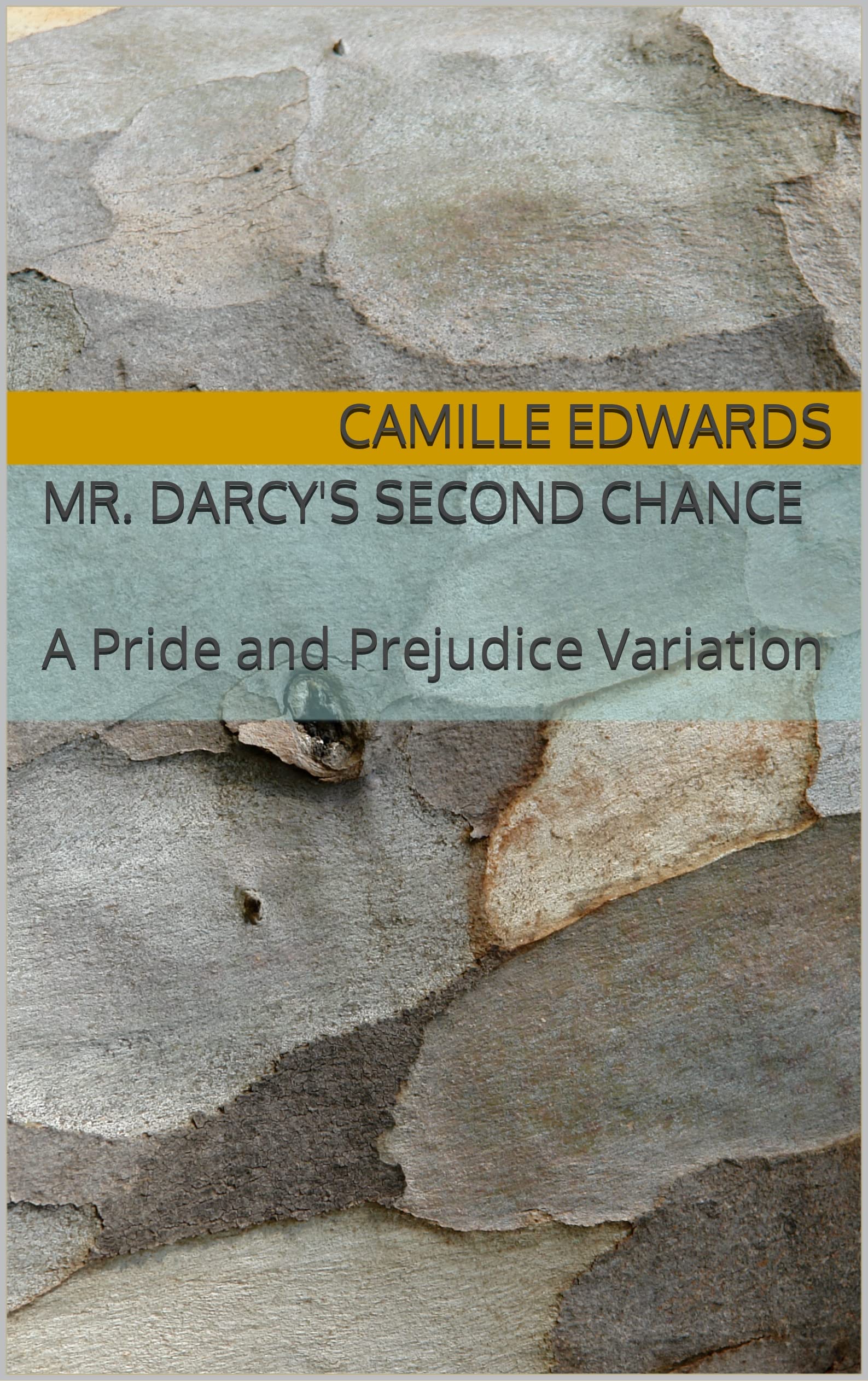 Mr. Darcy's Second Chance: A Pride and Prejudice Variation by Camille Edwards | Goodreads