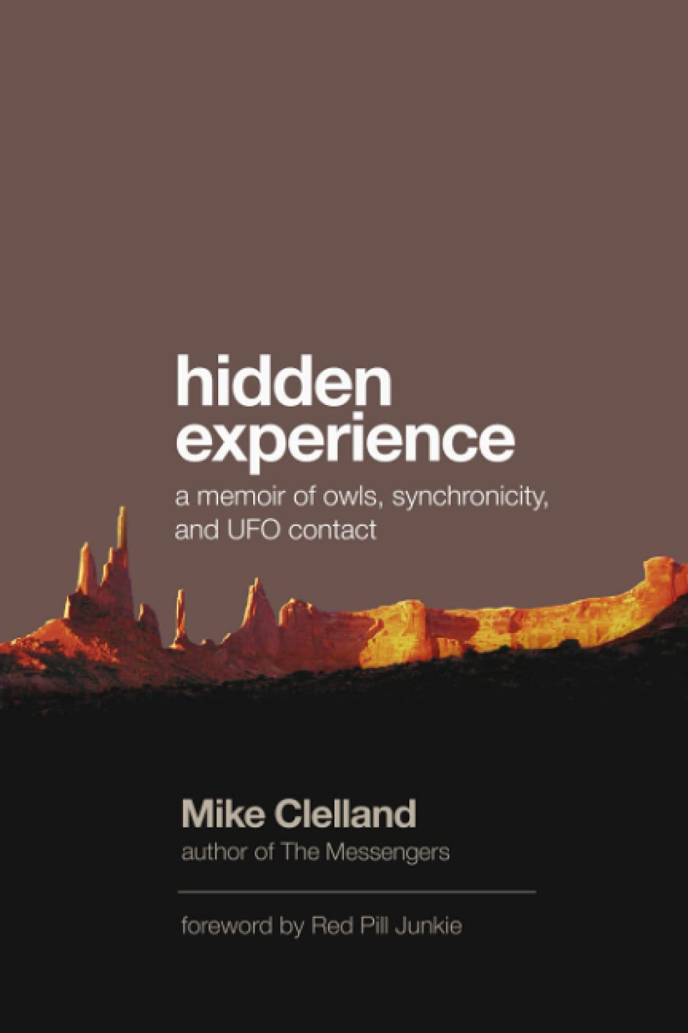 Hidden Experience: a memoir of owls, synchronicity, and UFO contact by ...