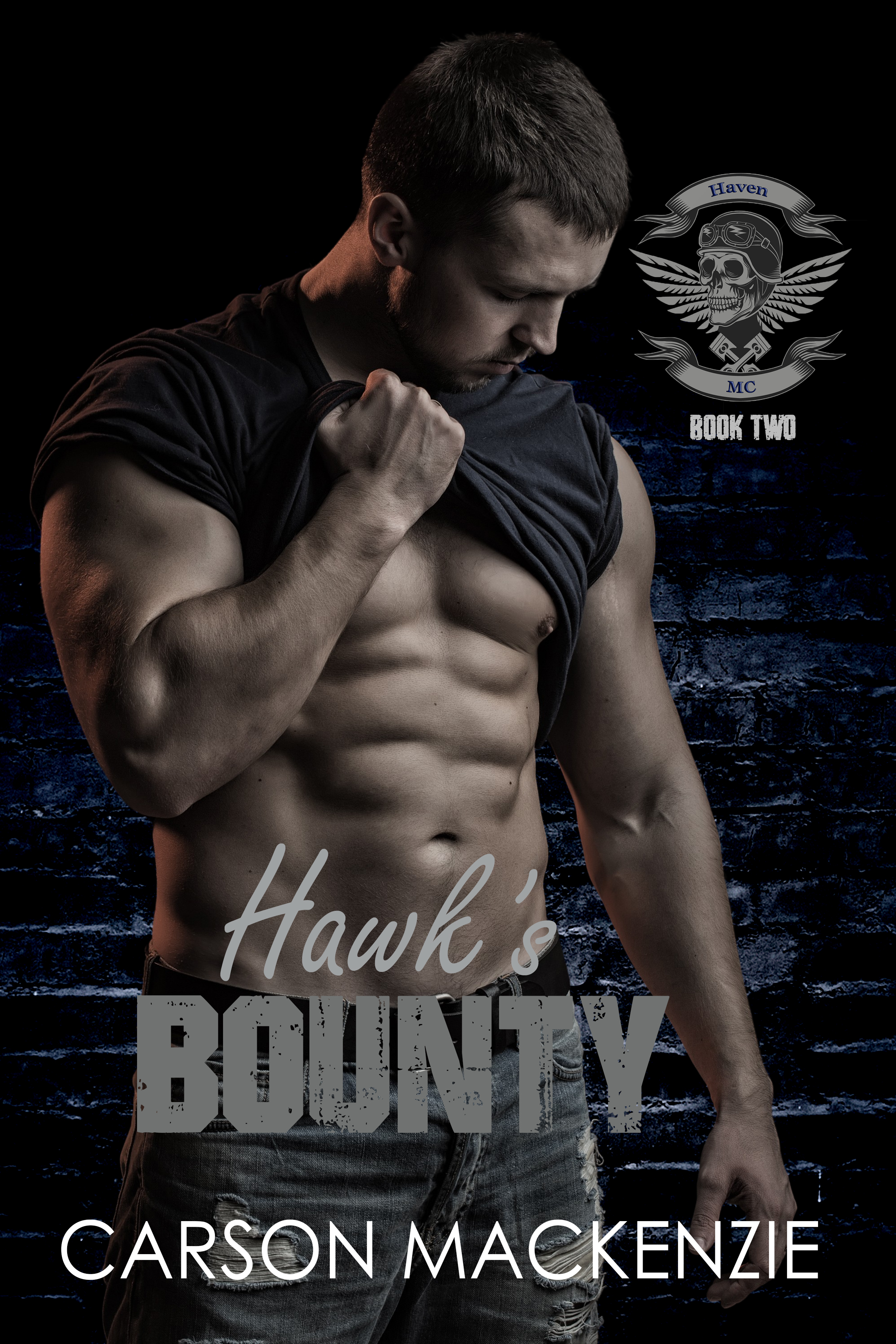 Hawk's Bounty (Haven MC, #2) by Carson Mackenzie | Goodreads