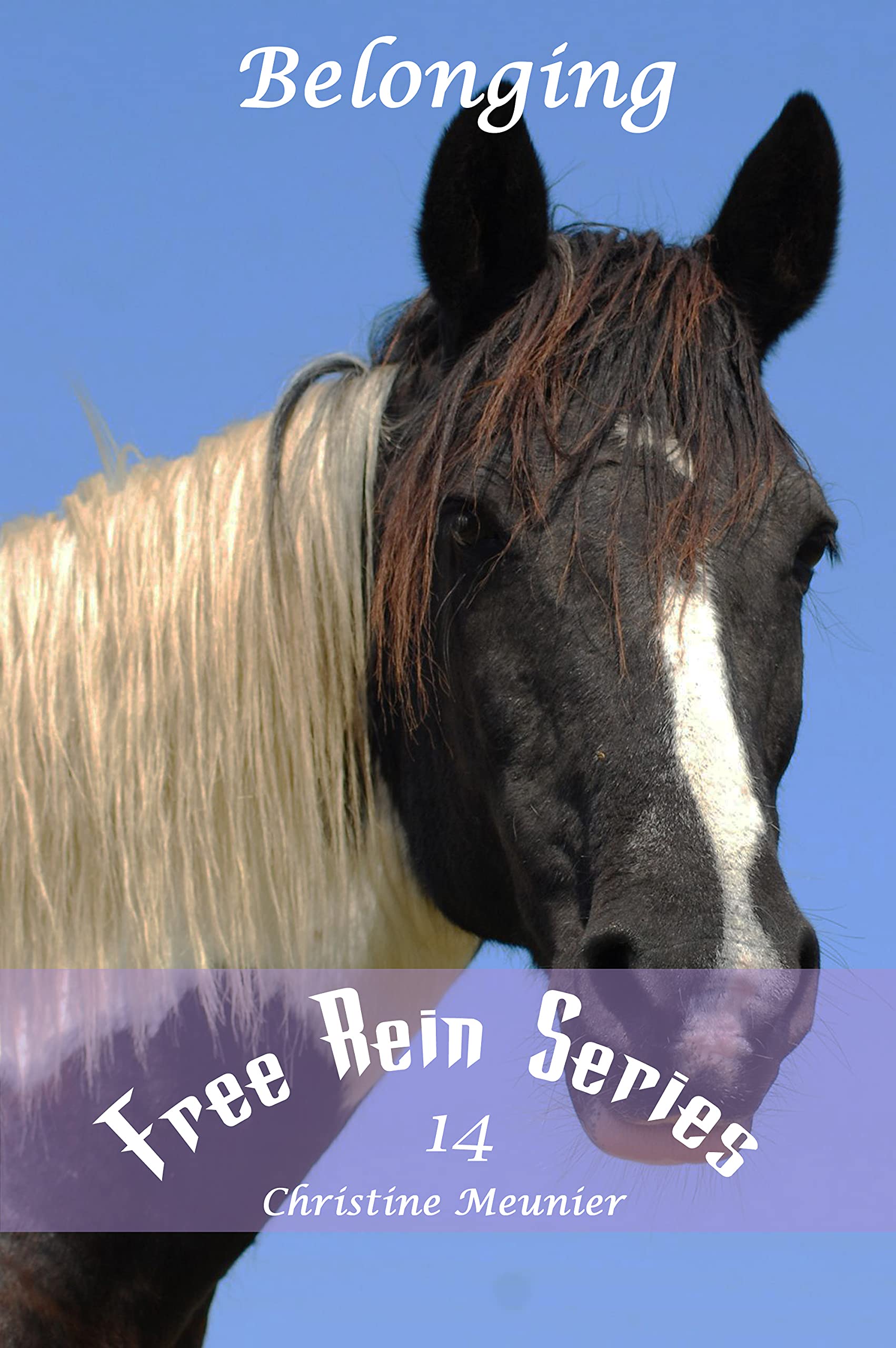 Belonging (Free Rein Series Book 14) by Christine Meunier | Goodreads