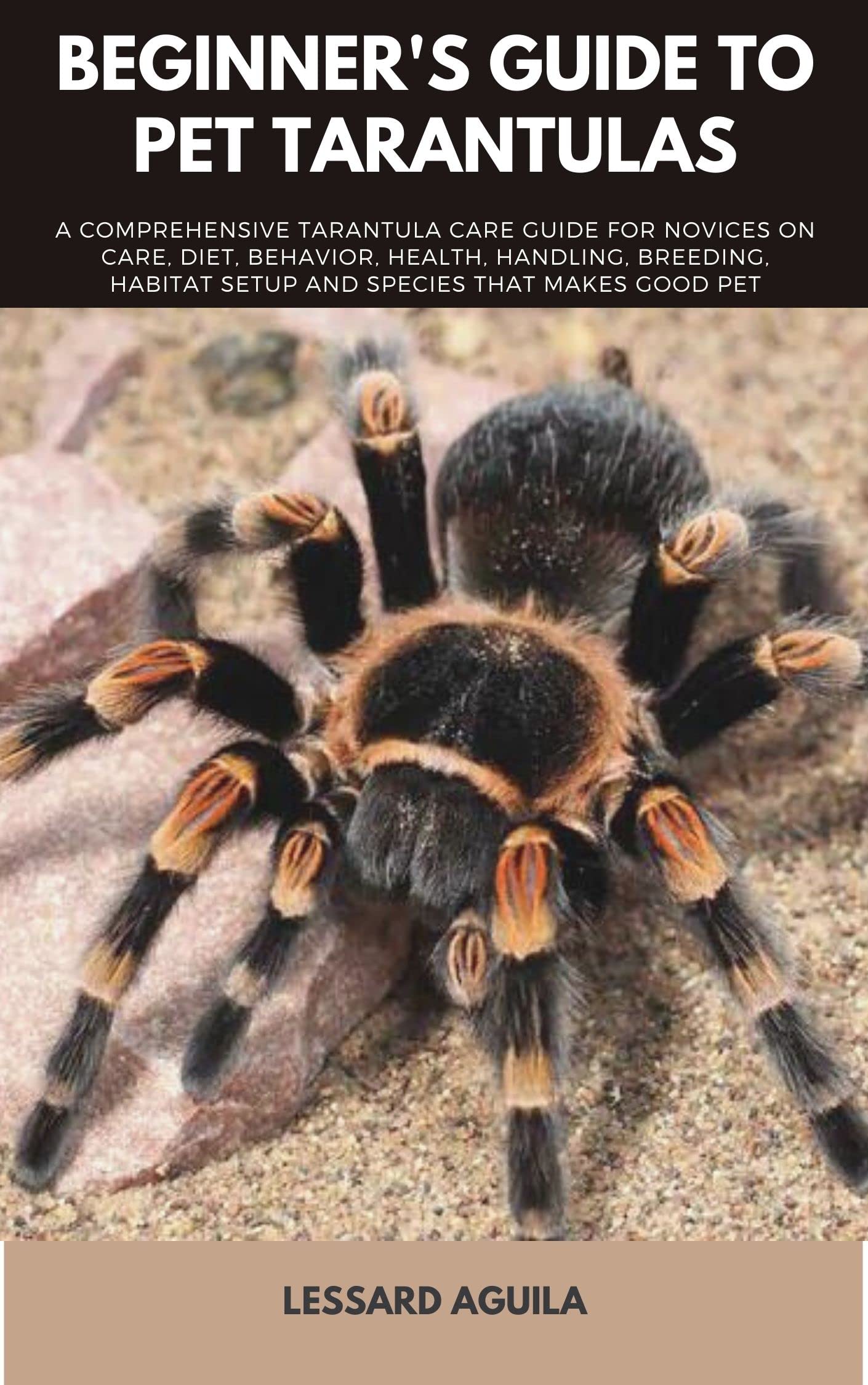 BEGINNERS’S GUIDE TO PET TARANTULAS: A comprehensive tarantula care ...