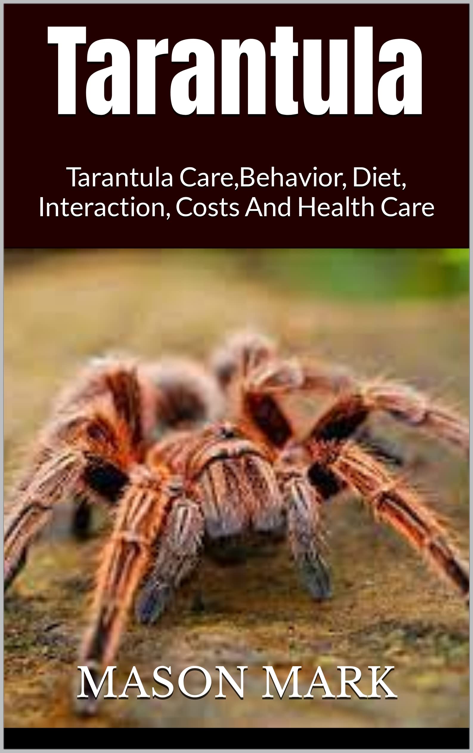 Tarantula : Tarantula Care,Behavior, Diet, Interaction, Costs And ...