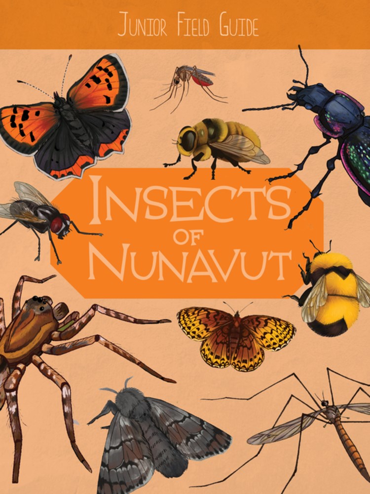 Junior Field Guide: Insects of Nunavut by Jordan Hoffman | Goodreads