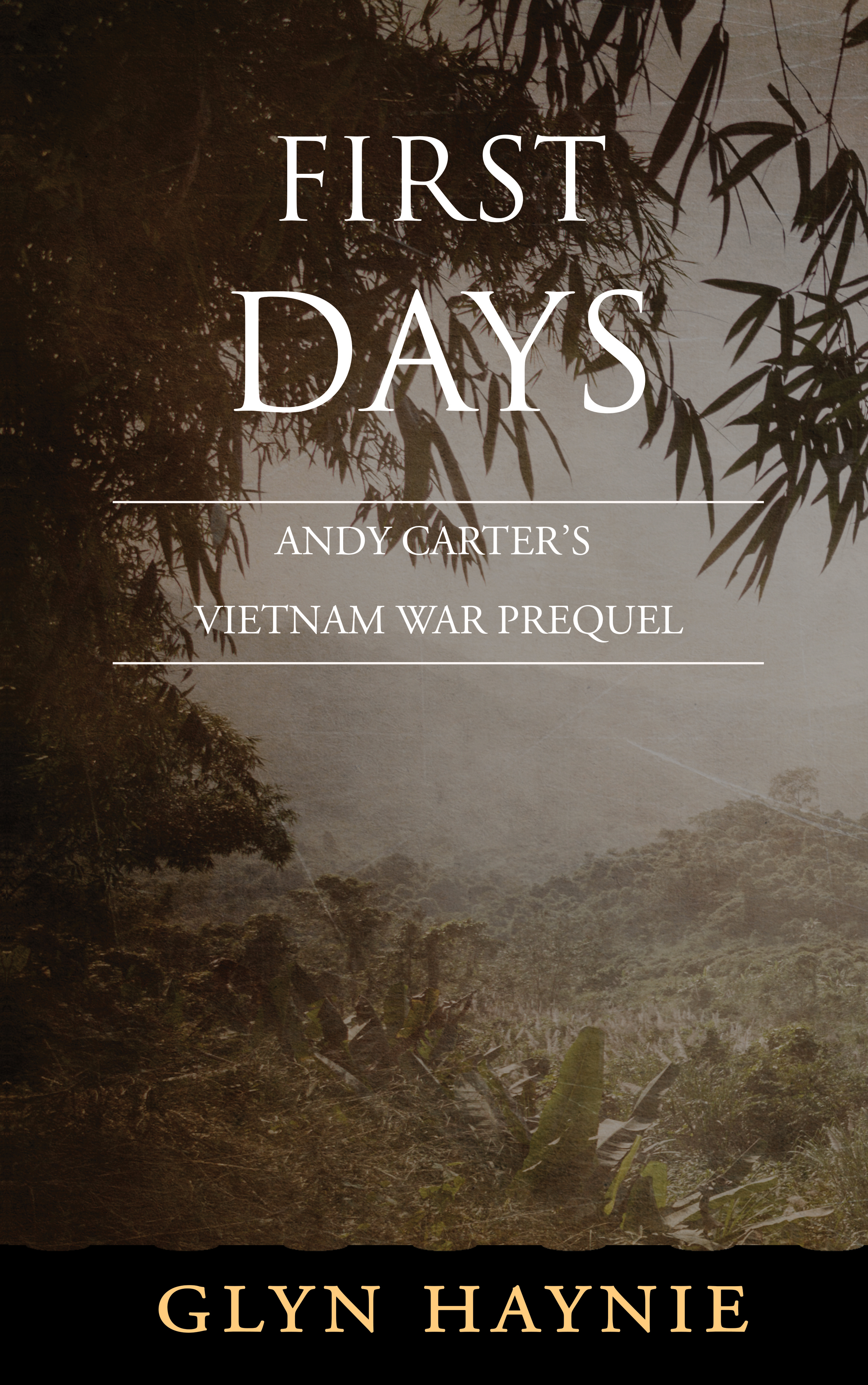 First Days: Andy Carter's Vietnam War Prequel by Glyn Haynie | Goodreads