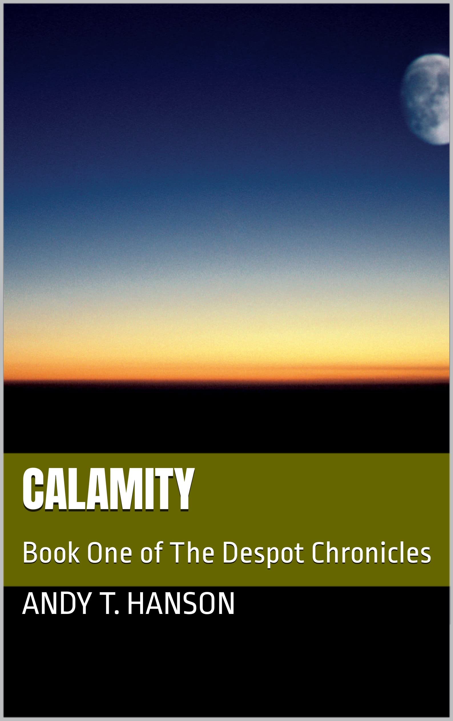 Calamity (The Despot Chronicles #1) by Andy T. Hanson | Goodreads