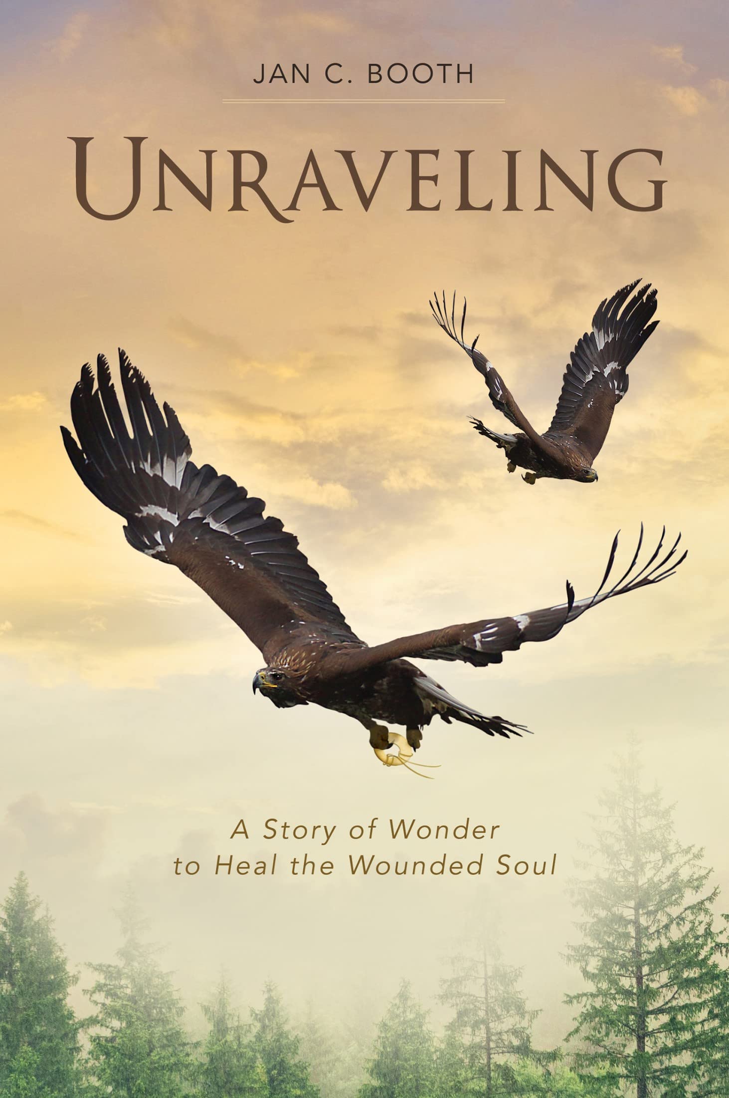 Unraveling: A Story of Wonder to Heal the Wounded Soul by Jan C. Booth ...