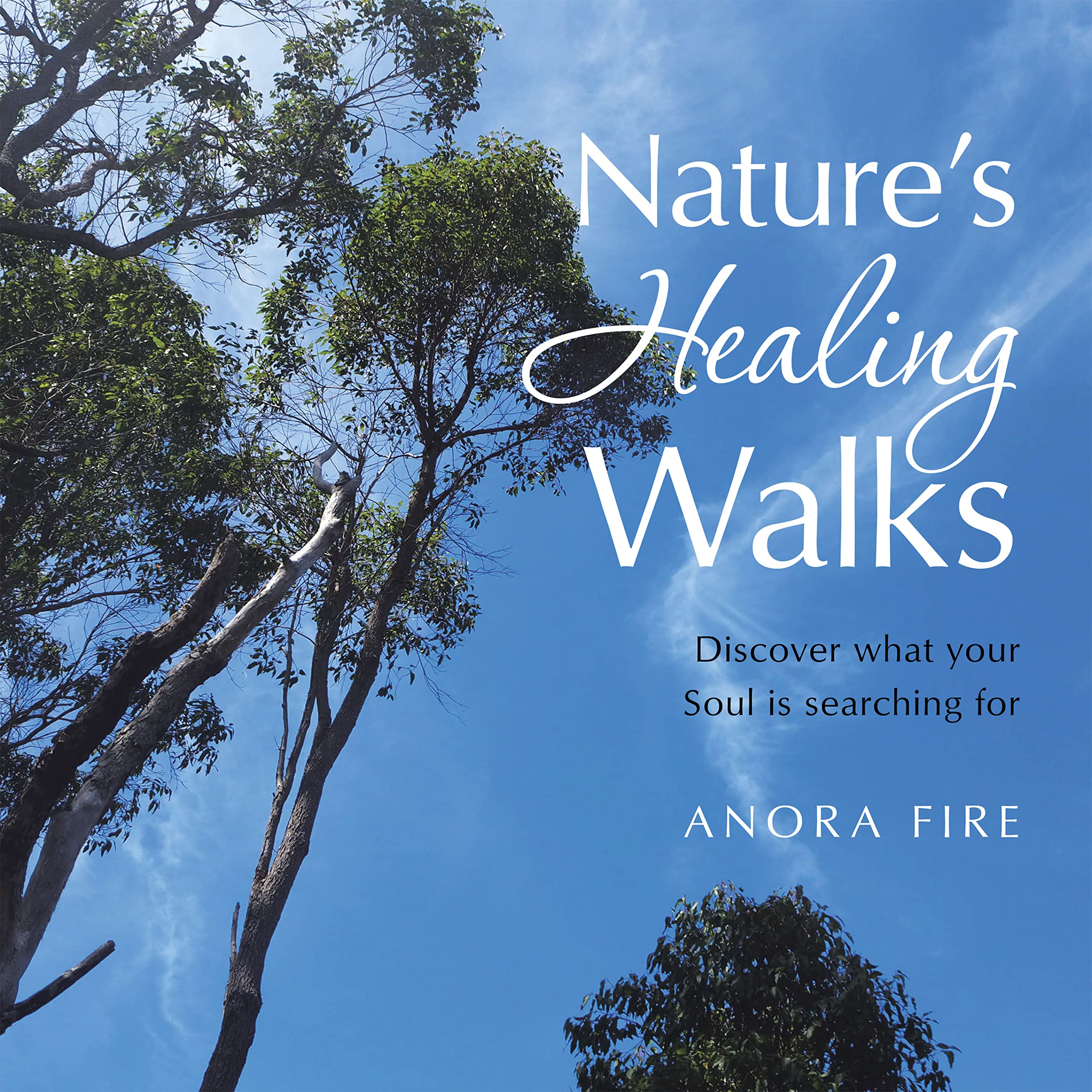 Nature's Healing Walks: Discover What Your Soul Is Searching For by ...