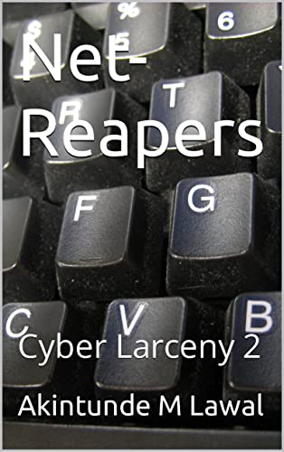 Net-Reapers (Cyber Larceny 2) by Akintunde M Lawal | Goodreads