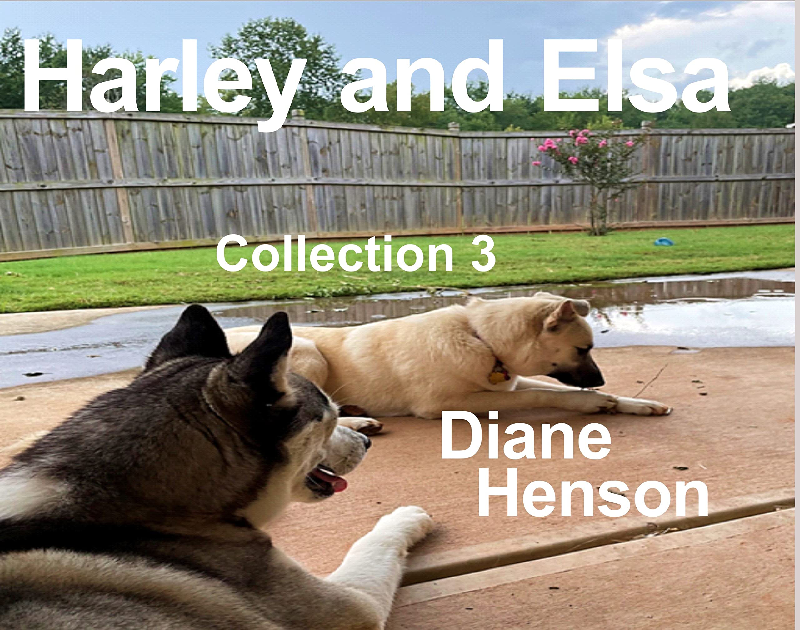 Harley and Elsa Three by Diane Henson | Goodreads