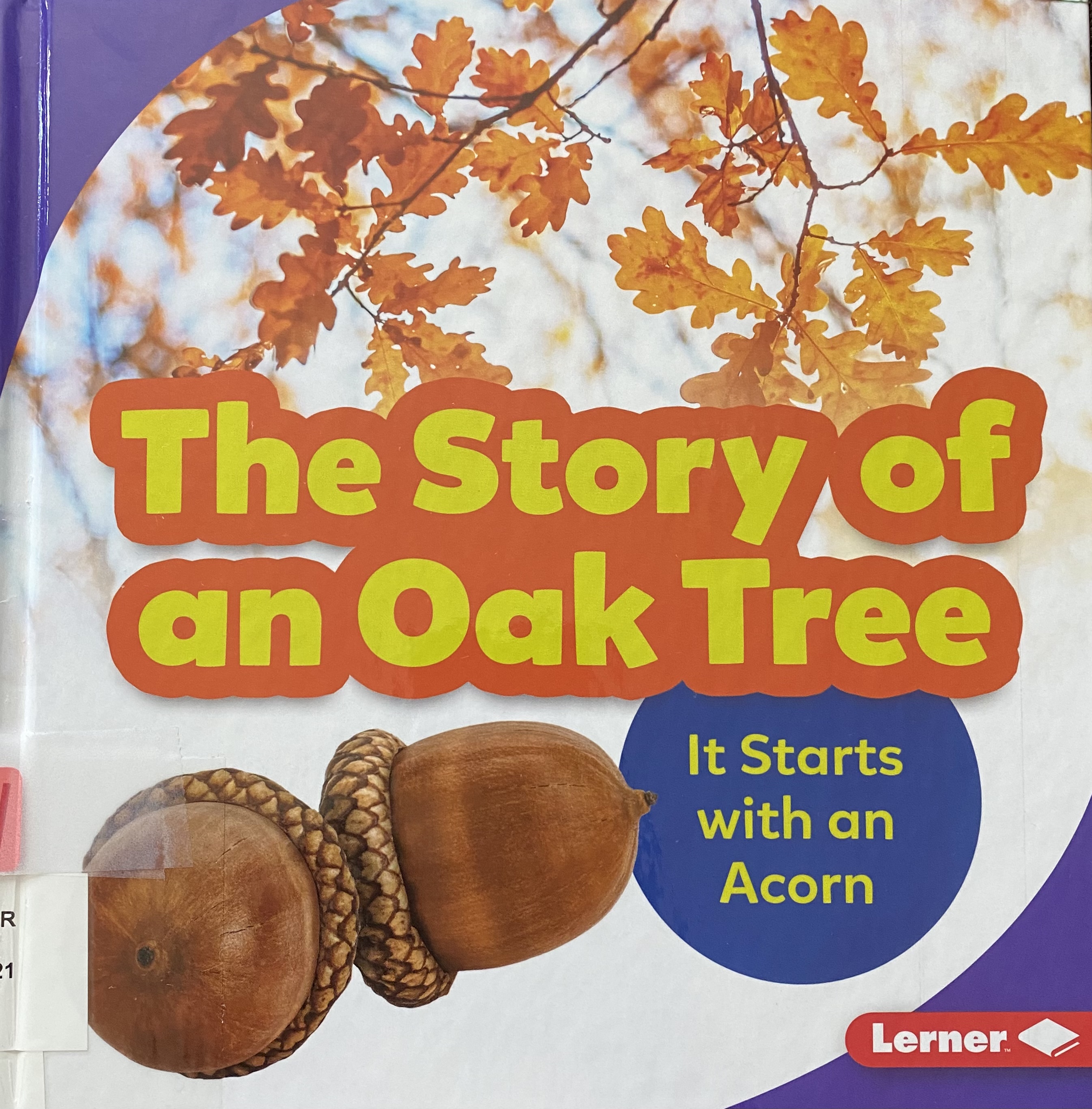 The Story of an Oak Tree by Emma Carlson Berne | Goodreads
