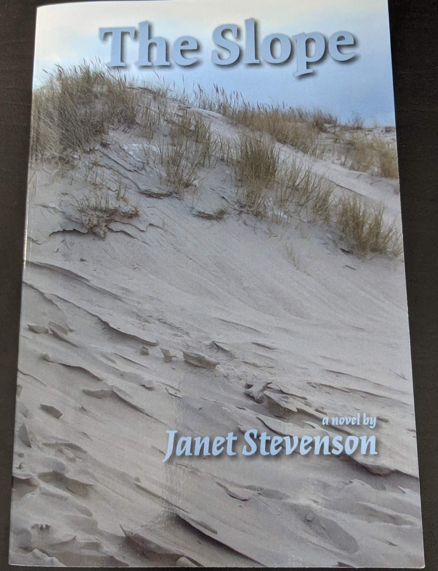 The Slope by Janet Stevenson | Goodreads