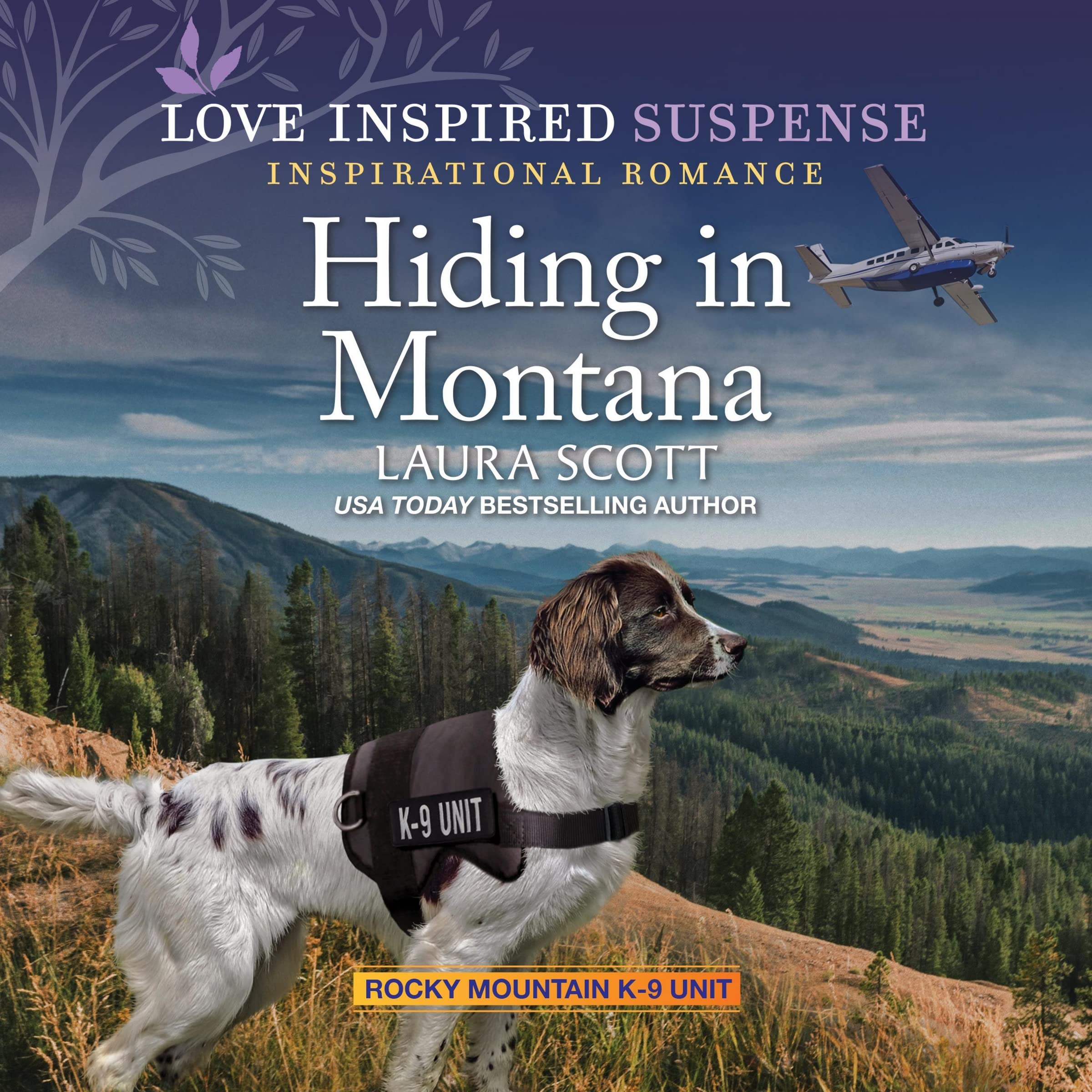 Hiding in Montana by Laura Scott | Goodreads