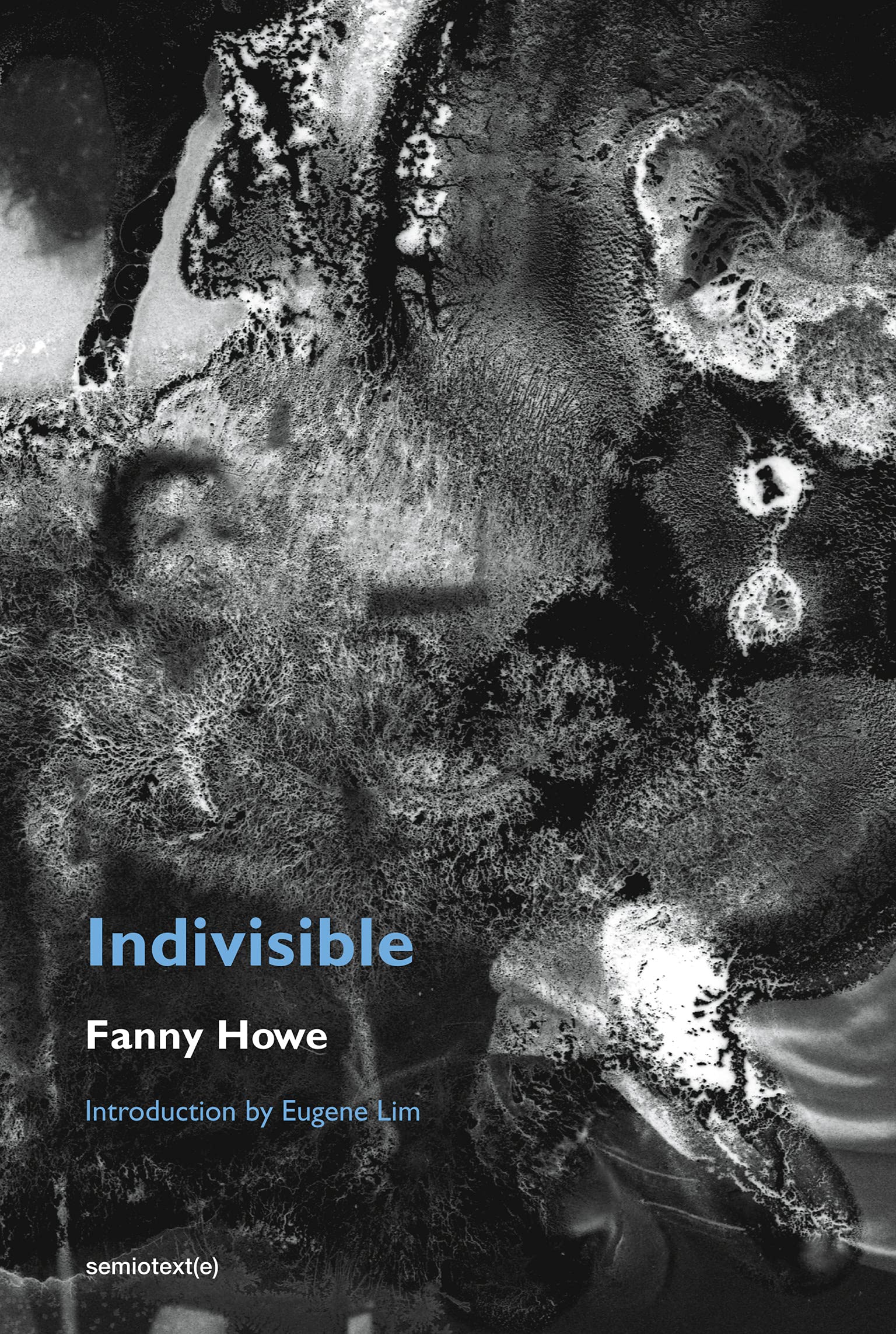 Indivisible, new edition (Semiotext(e) / Native Agents) by Fanny Howe ...