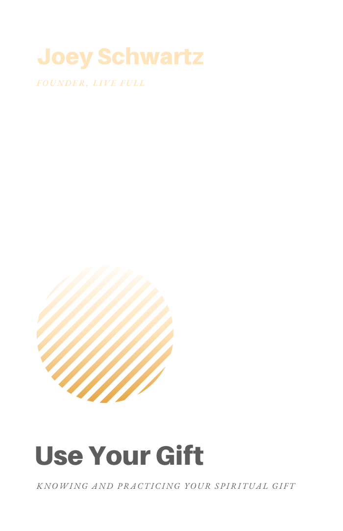 Use Your Gift by Joey Schwartz | Goodreads