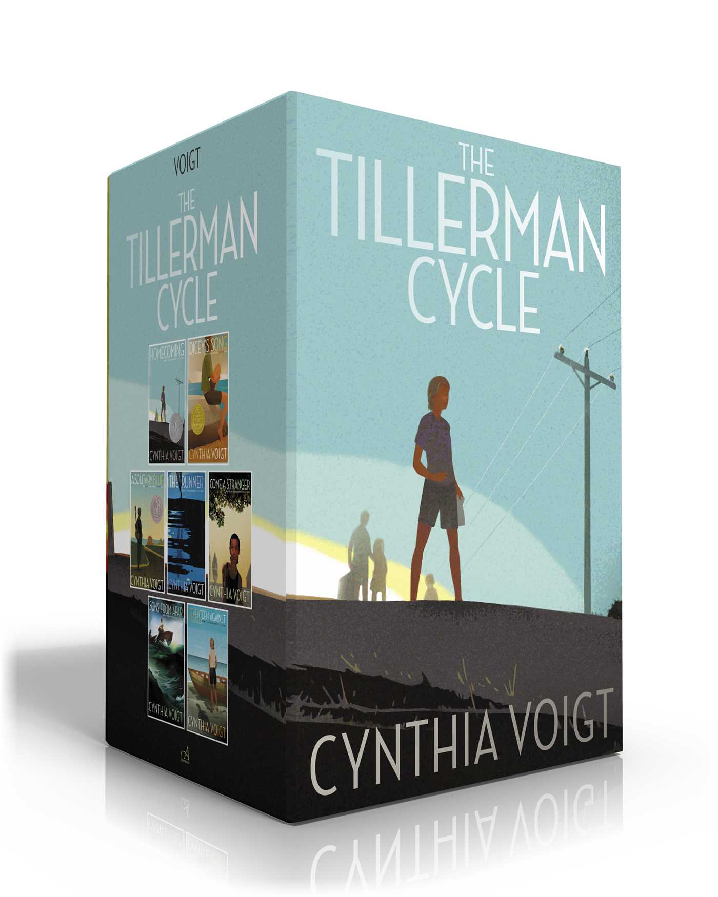 The Tillerman Cycle (Boxed Set): Homecoming; Dicey's Song; A Solitary ...