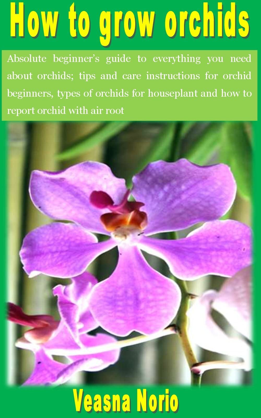 How to grow orchids: Absolute beginner’s guide to everything you need ...