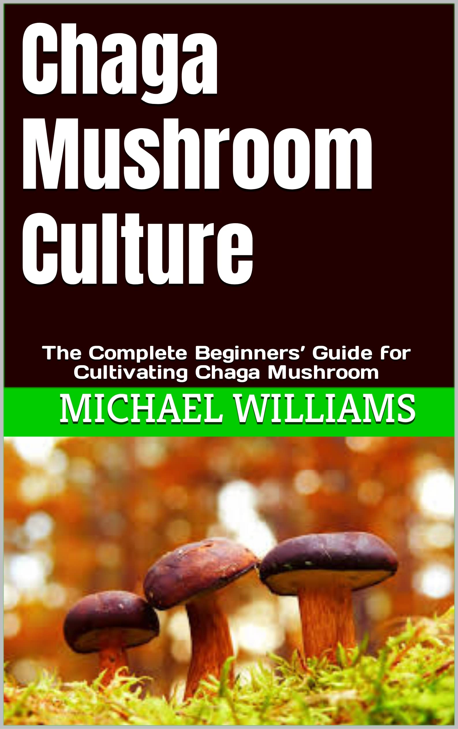 Chaga Mushroom Culture: The Complete Beginners’ Guide for Cultivating ...