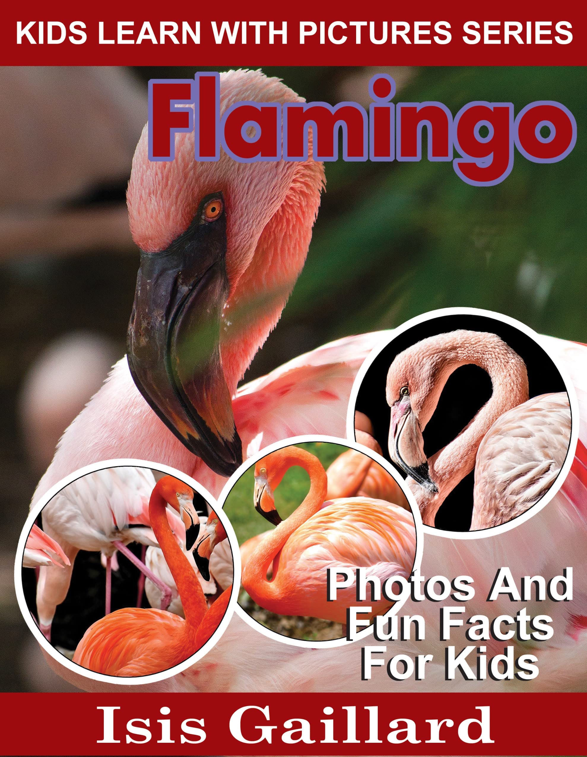 Flamingo: Photos and Fun Facts for Kids by Isis Gaillard | Goodreads
