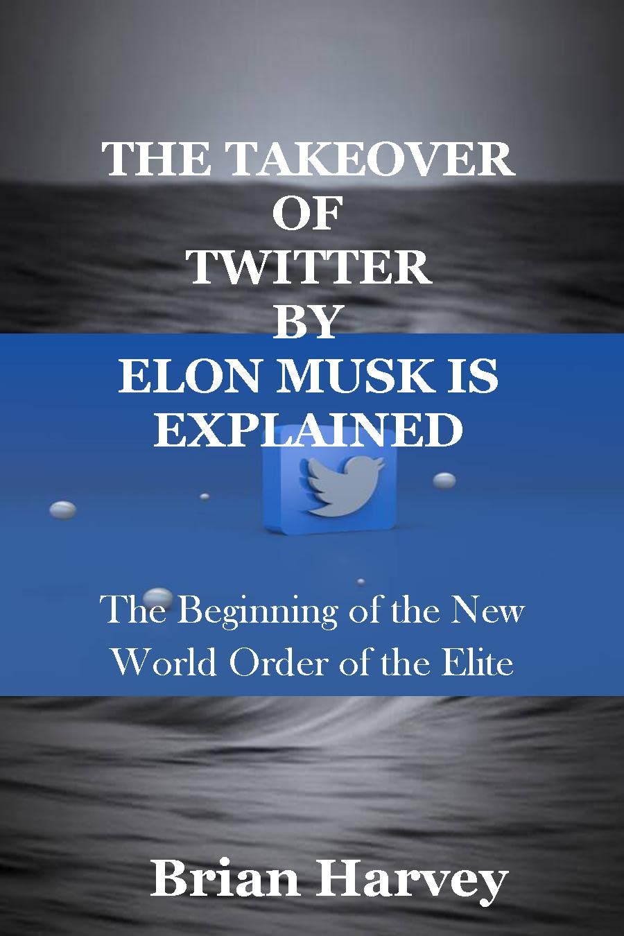 THE TAKEOVER OF TWITTER BY ELON MUSK IS EXPLAINED: The Beginning of the ...