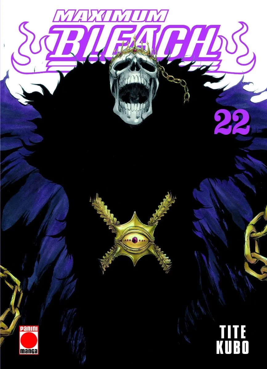 Bleach, vol. 22 by Tite Kubo | Goodreads