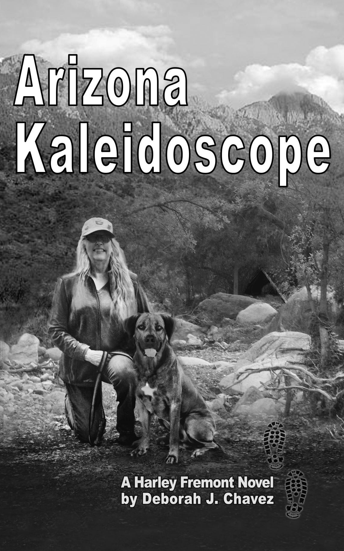 Arizona Kaleidoscope by Deborah J. Chavez | Goodreads