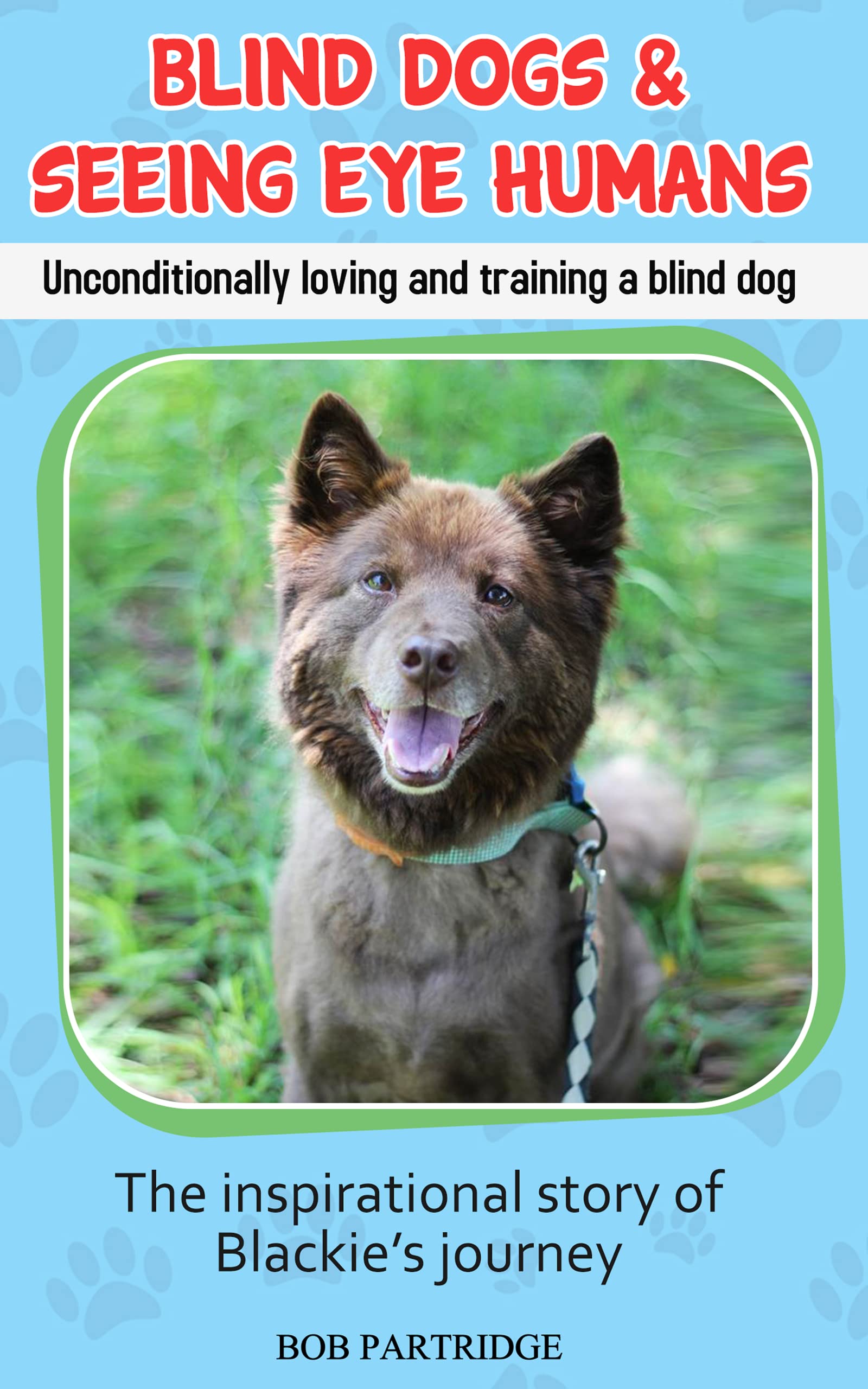 Blind Dogs & Seeing Eye Humans: Unconditionally loving and training a ...
